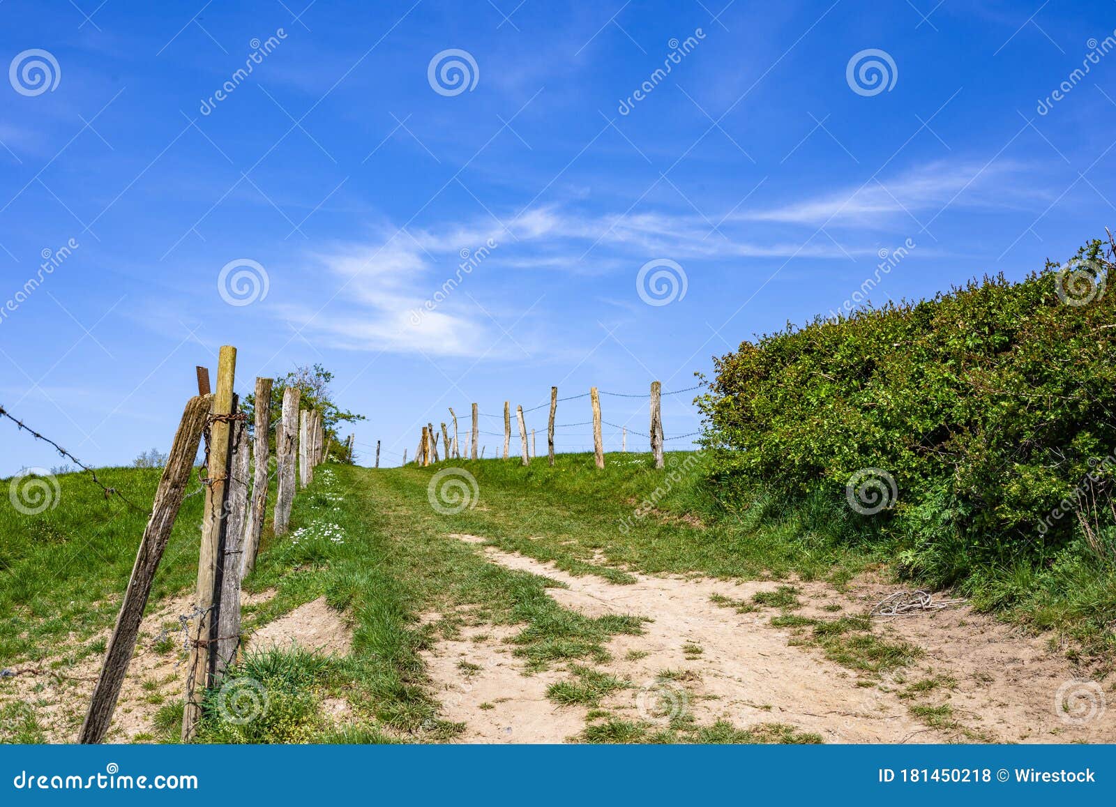Pathway In Agricultural Land. FootpathChickpeas Turkey Farm In The ...