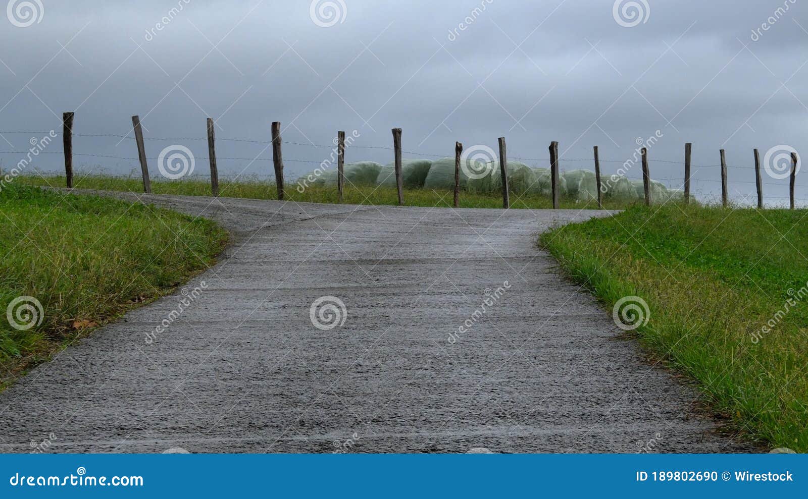 Narrow Pathway in a Green Grassy Field Surrounded by a Fence Stock ...