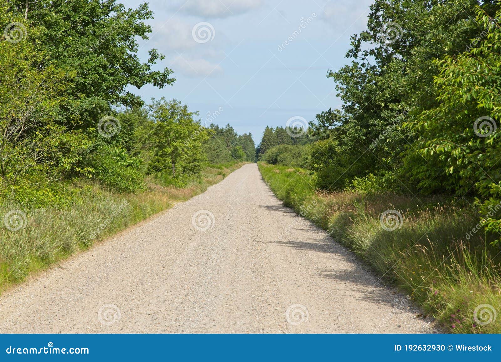 Narrow Pathway Surrounded by Beautiful Greenery Under a Cloudy Sky ...