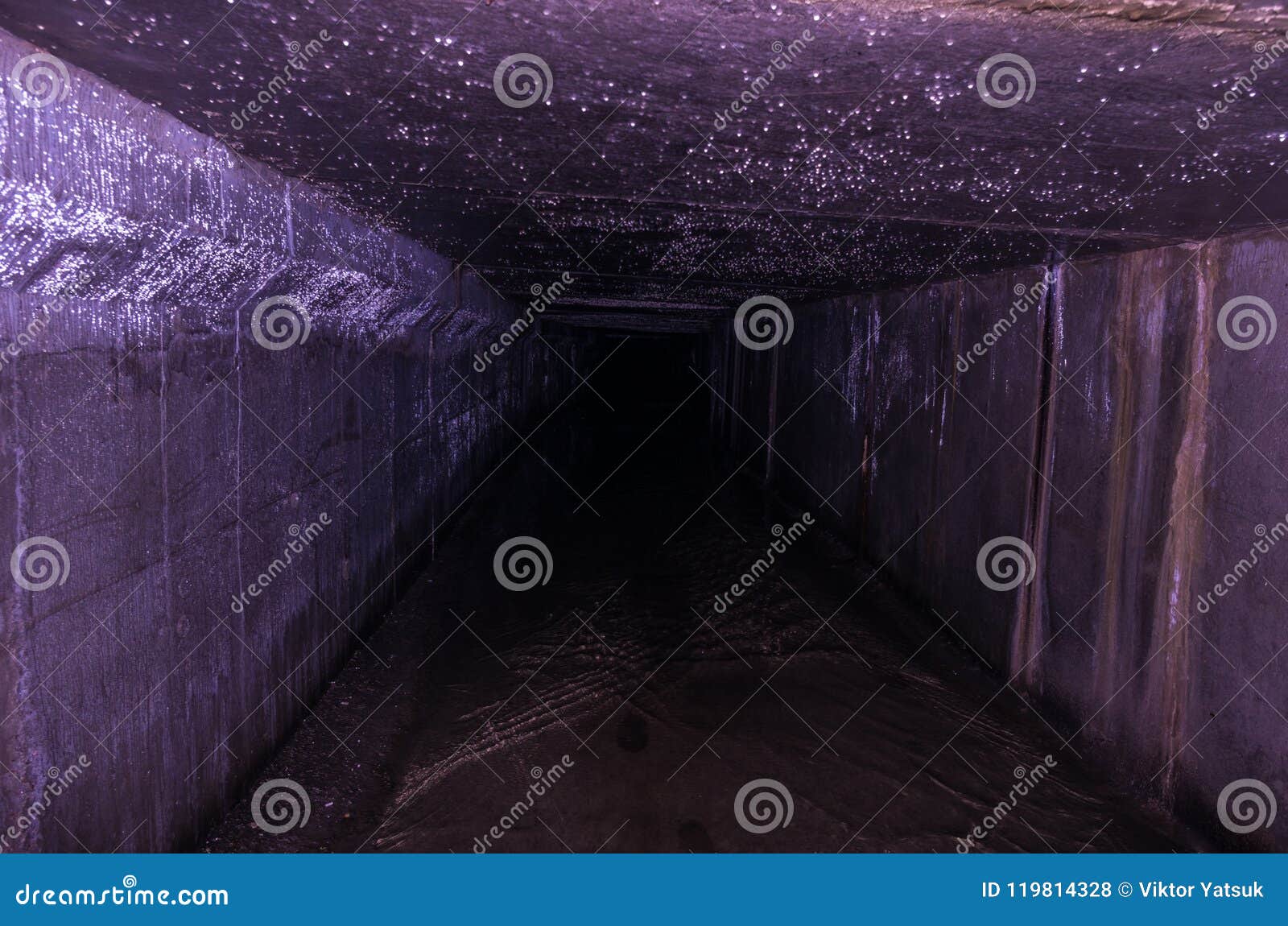Narrow Rectangular Tunnel. Great Dampness and Moisture Under the Ground ...