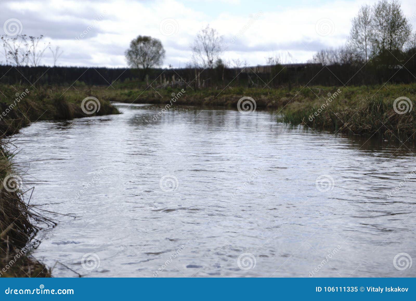 The Narrow River on a Beautiful Nature Stock Image - Image of field ...