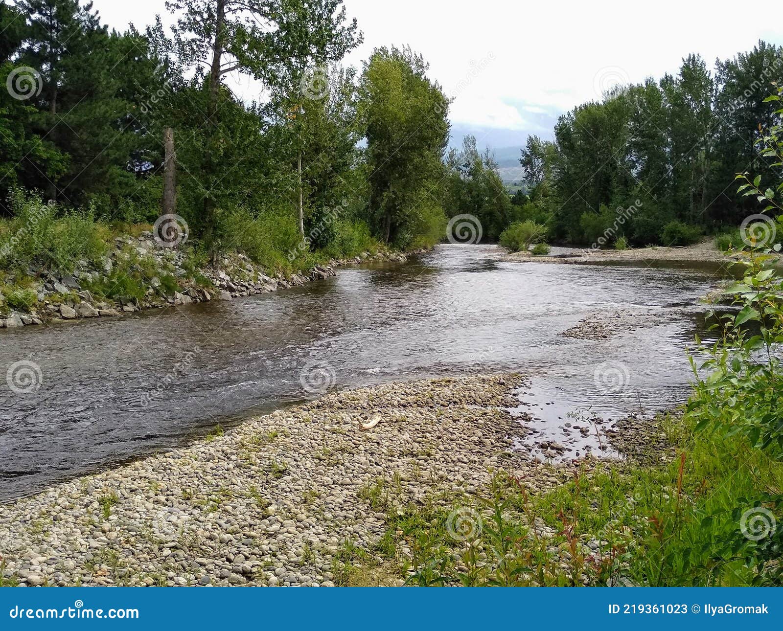 A Narrow River Flows between the Banks Overgrown with Forest. Stock ...