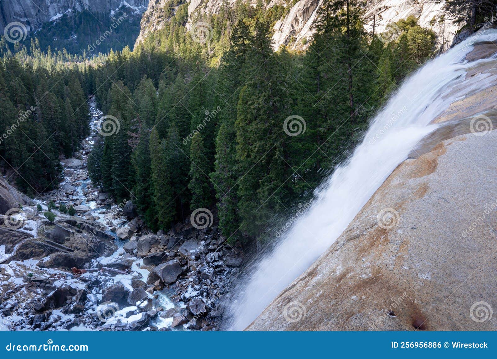Narrow River between Trees in the Daytime Stock Photo - Image of ...