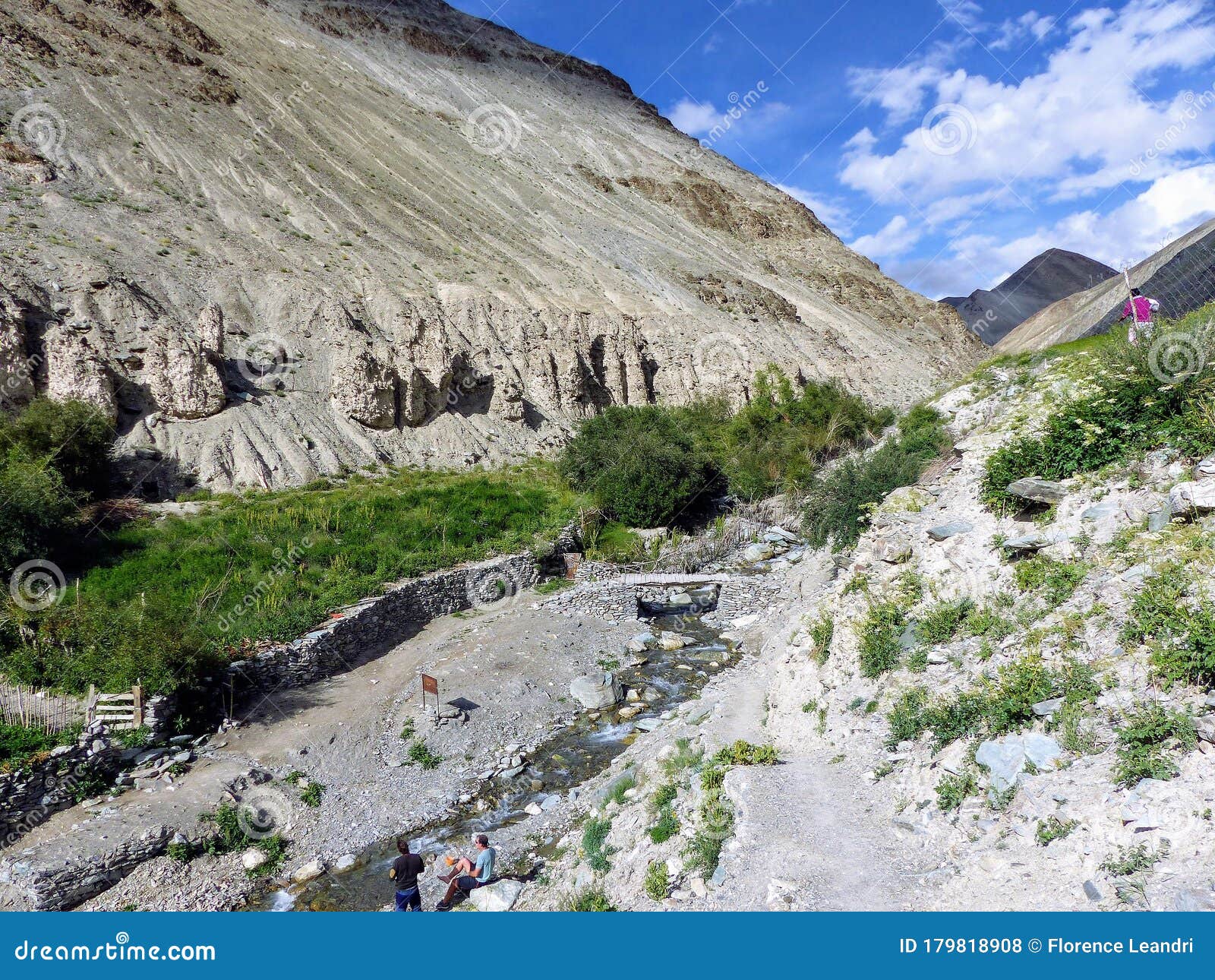 Markha River At Famous Markha Trek,Markha Valley, Ladakh, India Stock ...