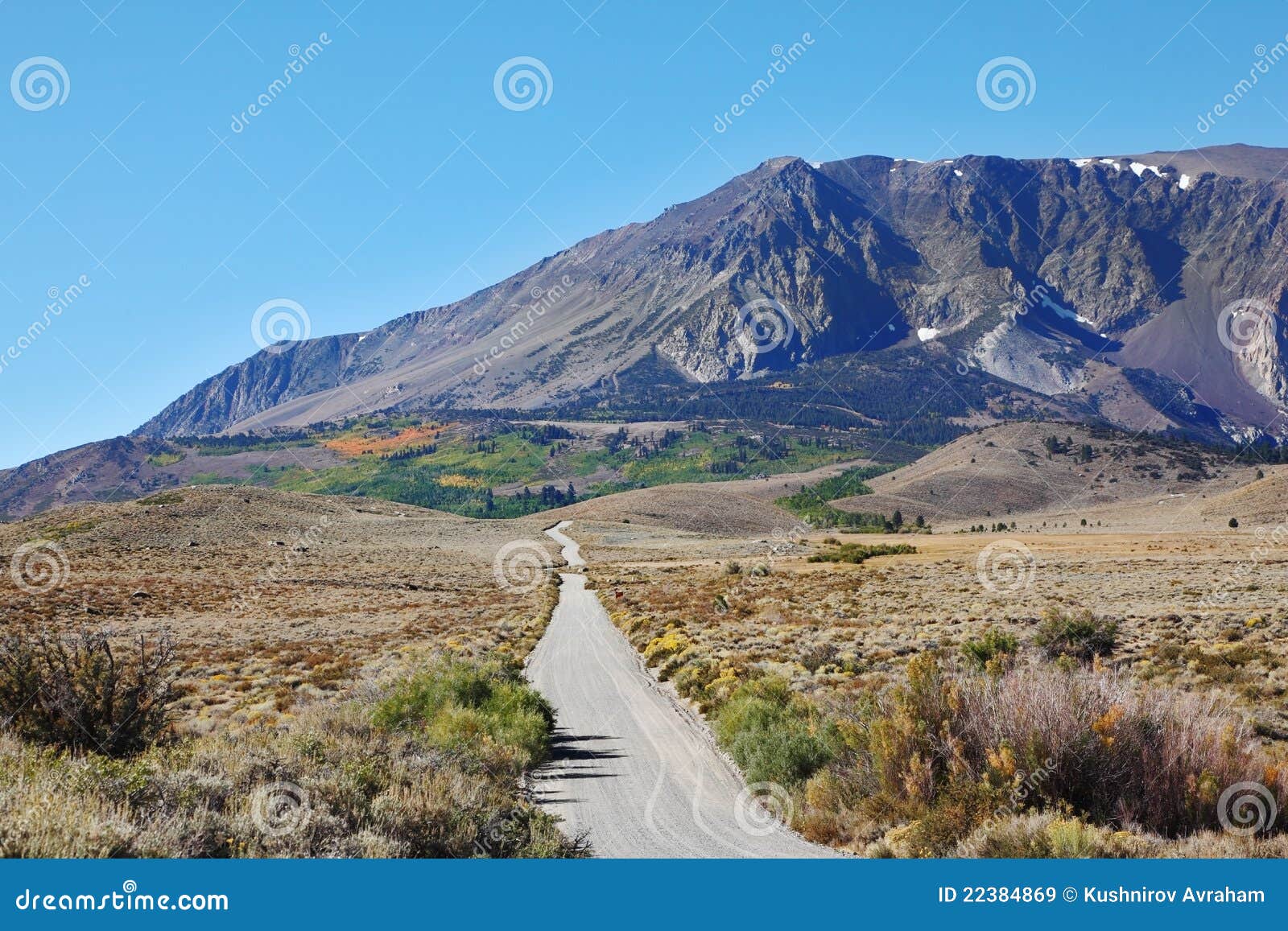 The narrow road stock image. Image of trip, desert, land - 22384869