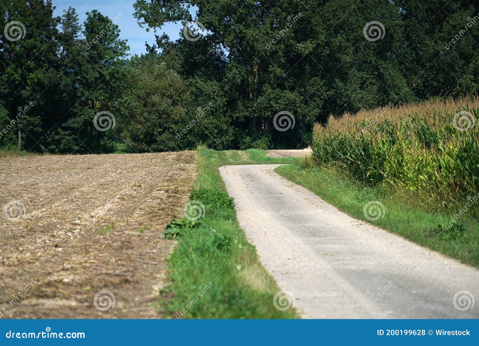 Narrow Road by the Farms and Trees Stock Photo - Image of meadow ...