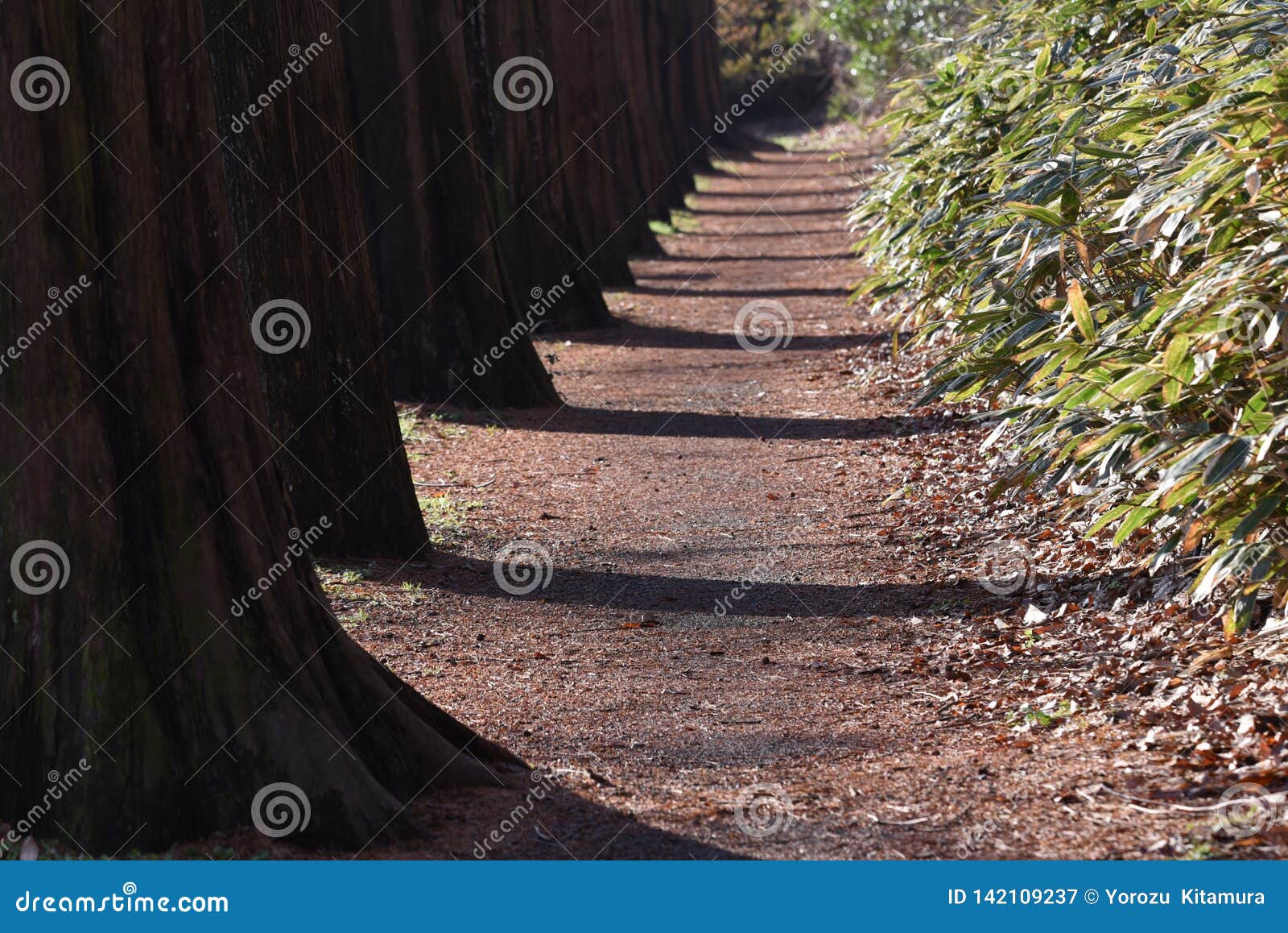 Mountain pathways stock image. Image of pathways, view - 142109237