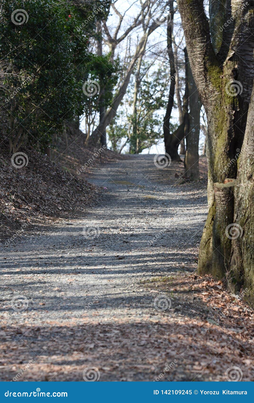 Mountain pathways stock image. Image of scenery, view - 142109245