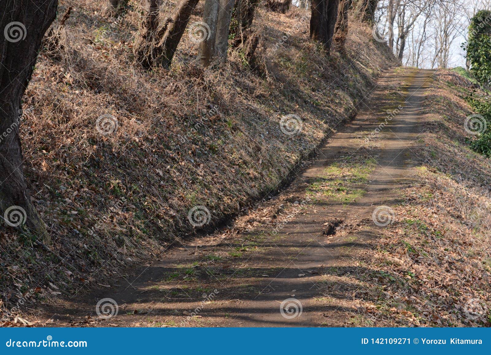 Mountain pathways stock image. Image of road, rural - 142109271