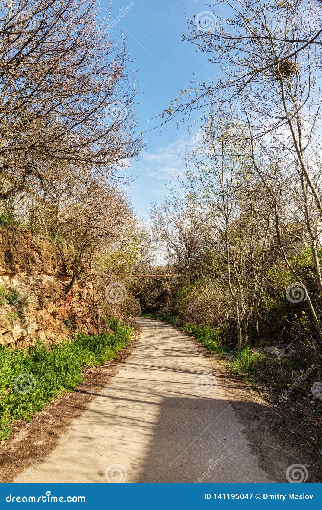 Narrow Road with Spring Trees Stock Image - Image of nature, road ...