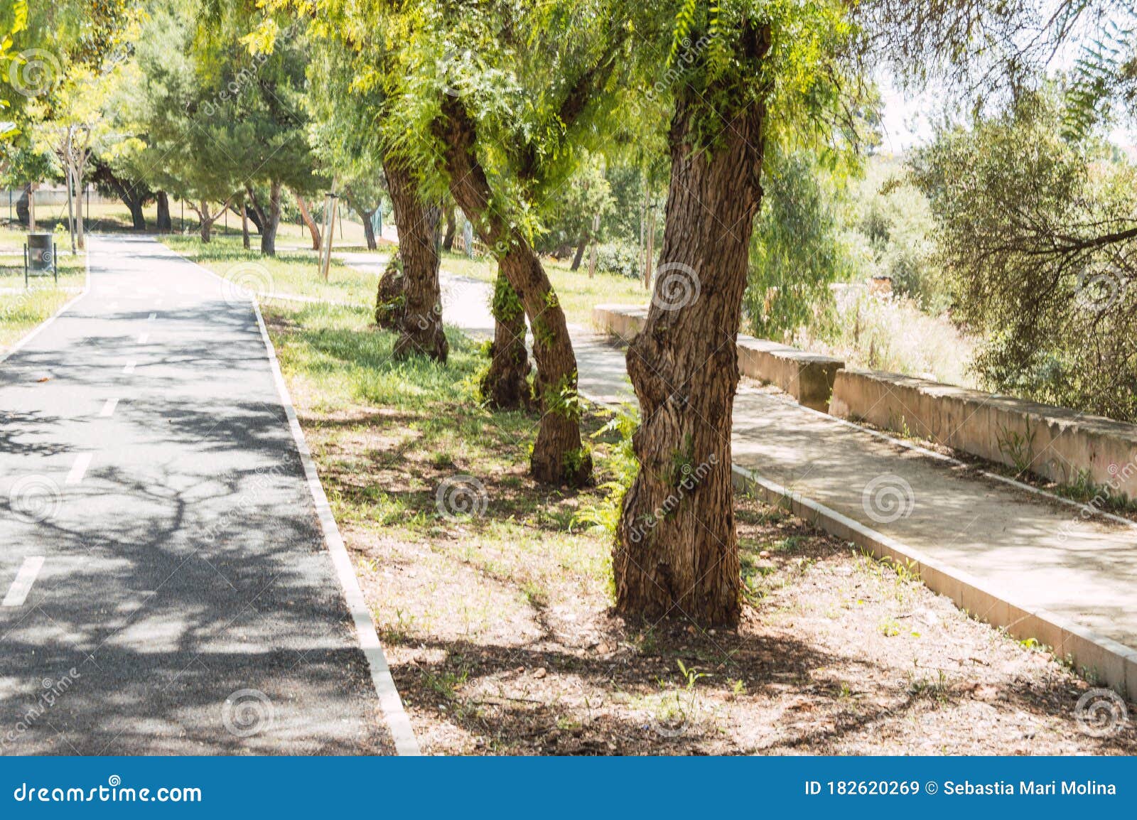 A narrow road stock image. Image of road, season, drive - 182620269