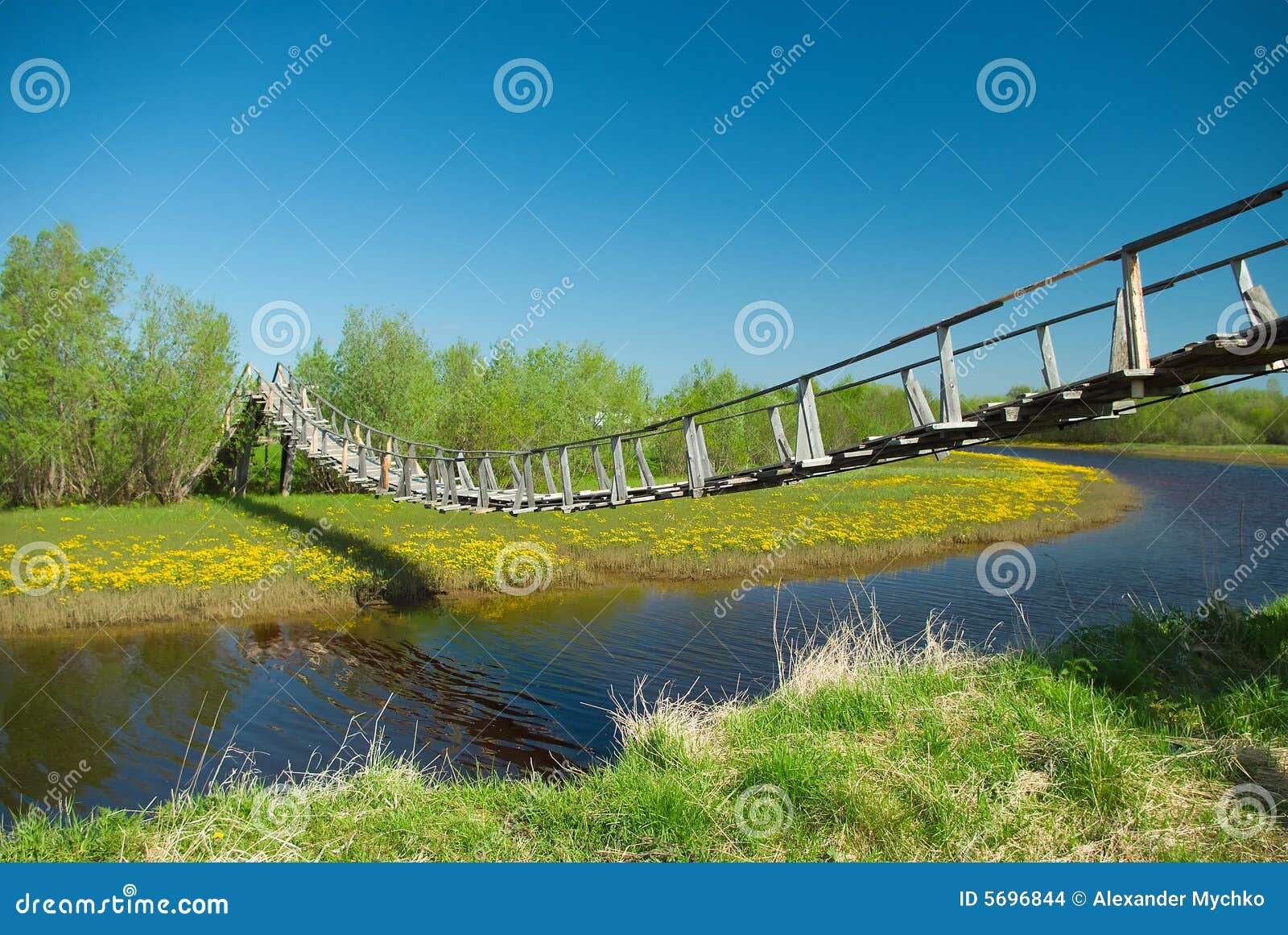 Narrow Rope Pedestrian Bridge Stock Photo - Image of leaves, outdated ...