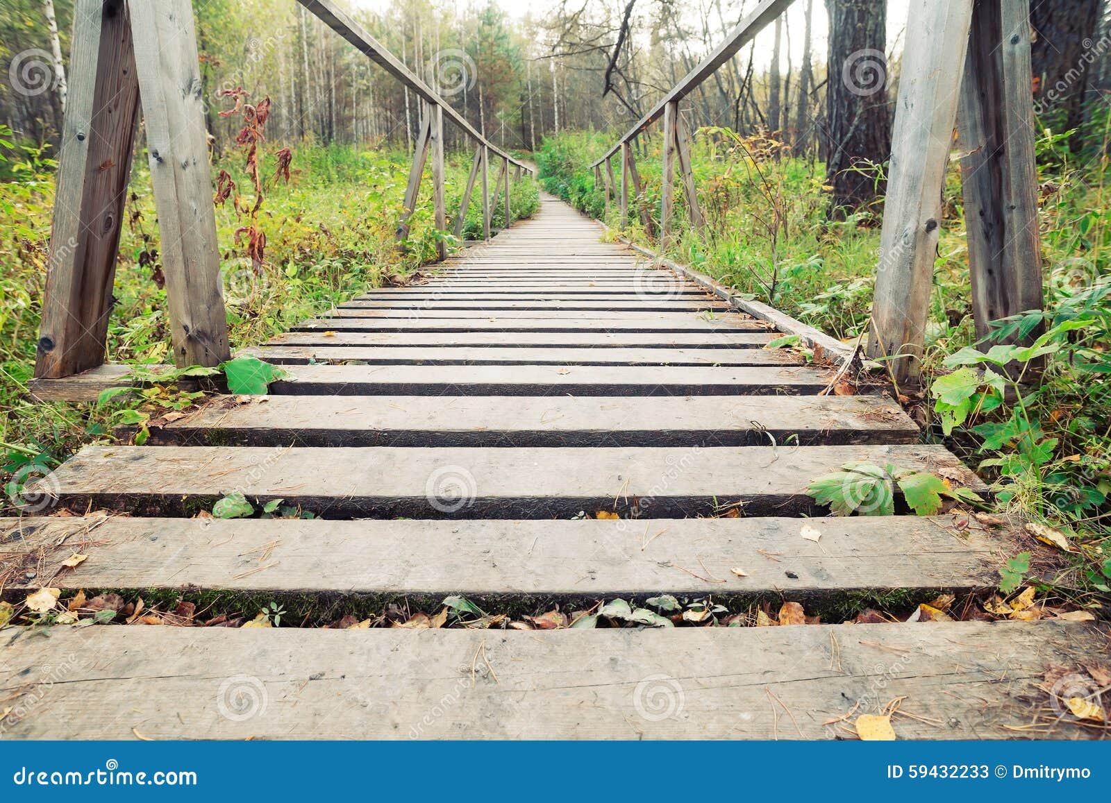 Narrow Rope Pedestrian Bridge Stock Image - Image of outdated, national ...