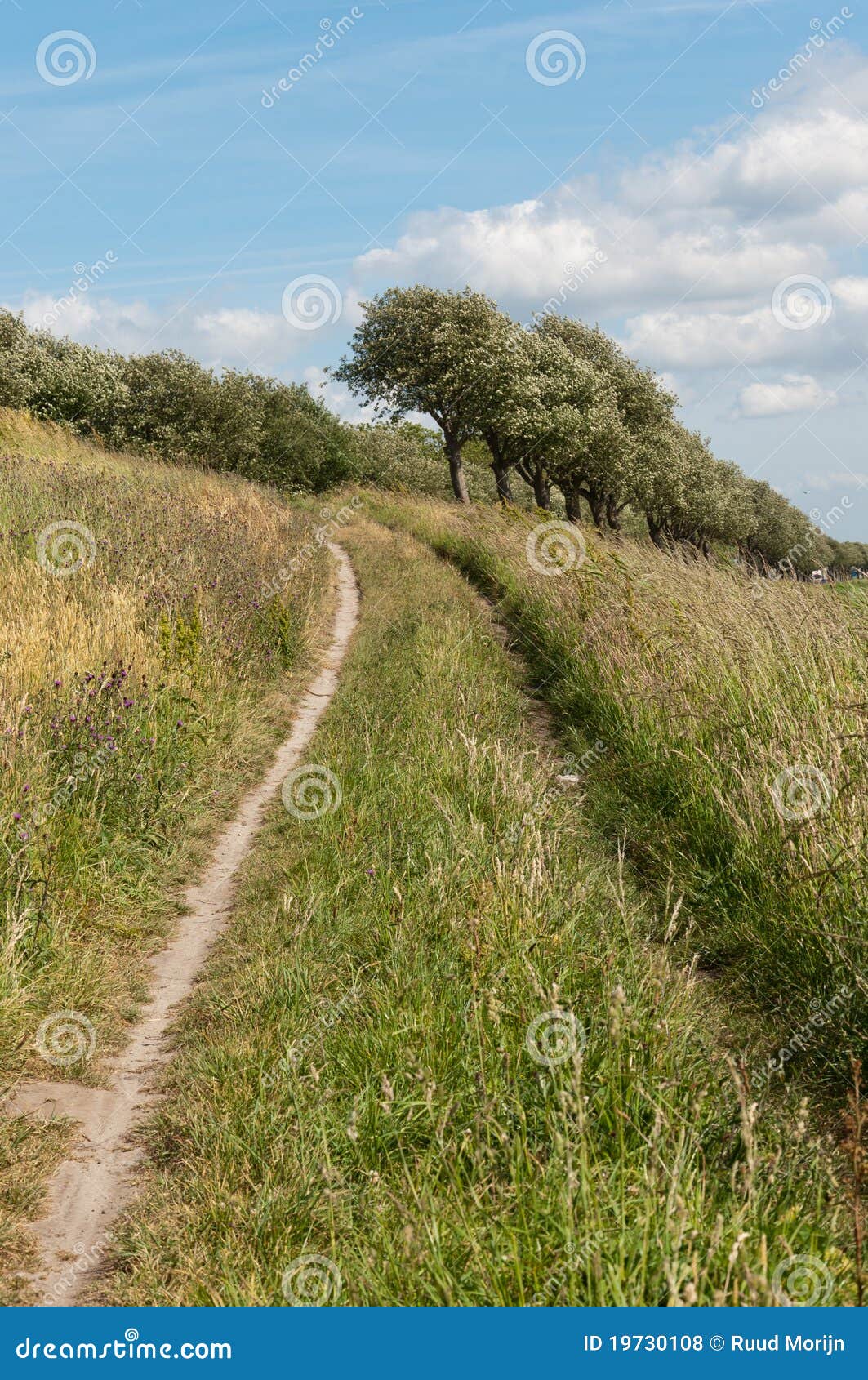 Narrow sandy path upwards stock photo. Image of desire - 19730108