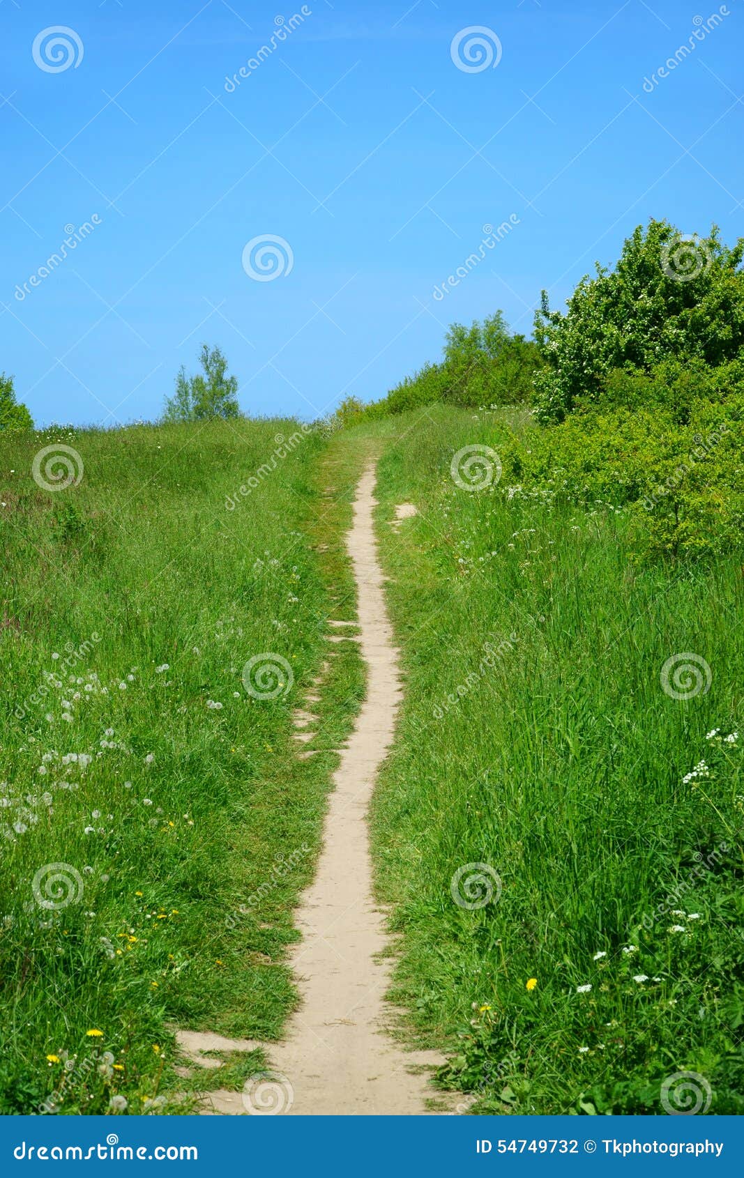 Narrow small path stock photo. Image of summer, vegetation - 54749732