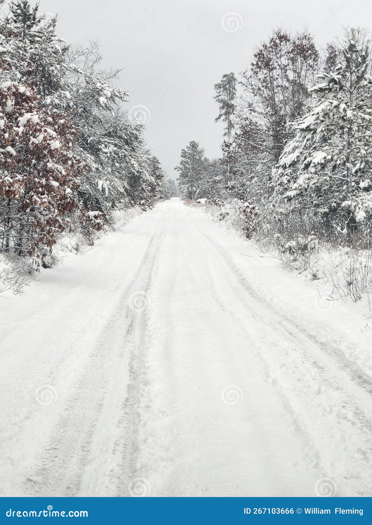 Snow Trails Foodsteps Melchsee-Frutt Mountain Resort Village In ...