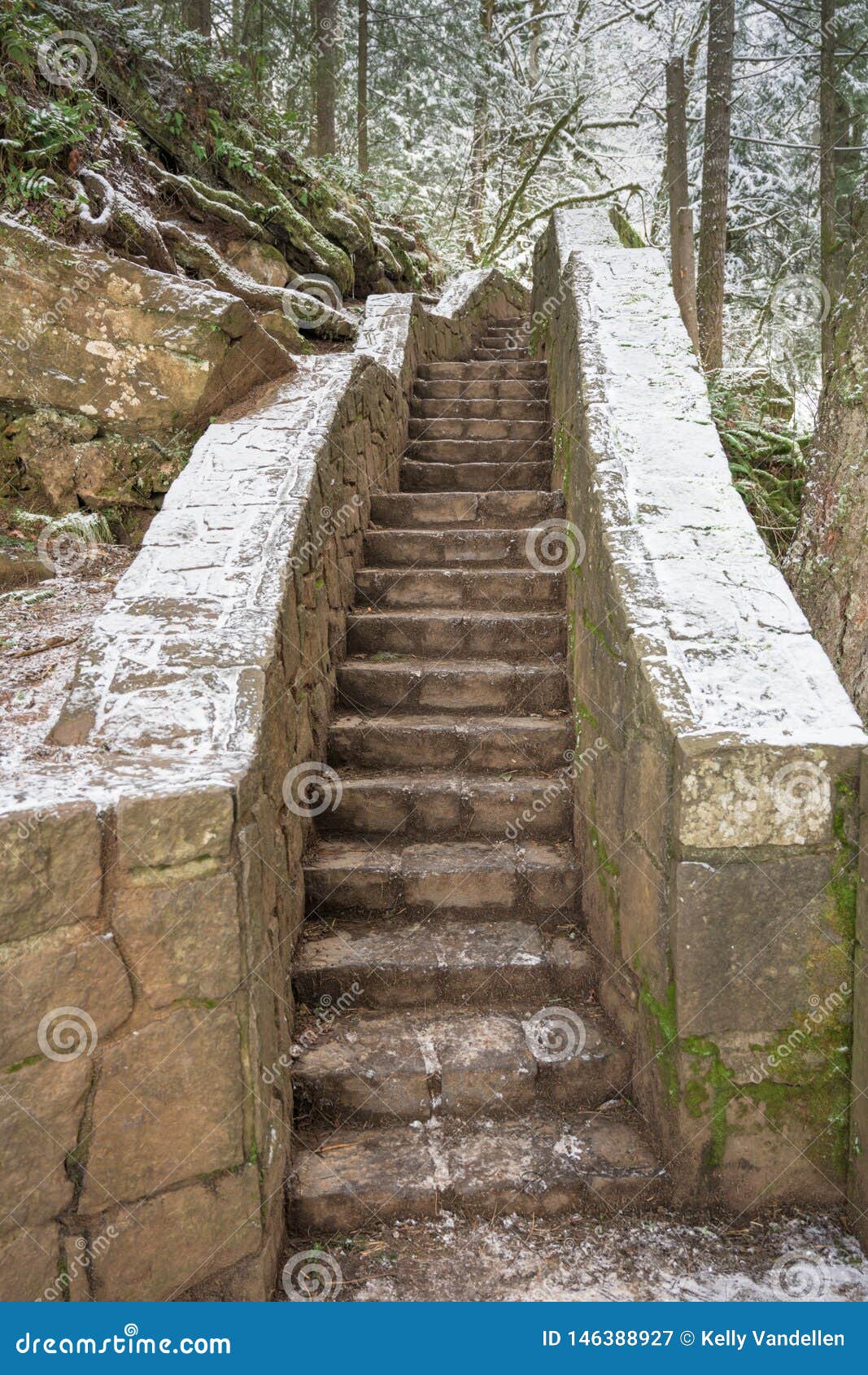 Narrow Stairs in the Woods stock image. Image of trees - 146388927
