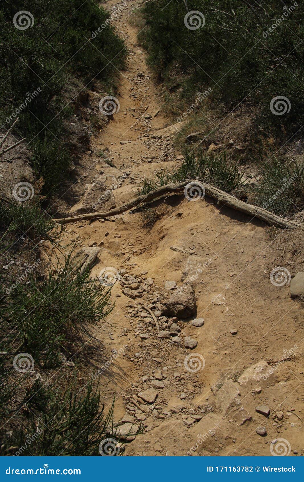 Narrow Steep Dirt Path Going Down a Hill Stock Photo - Image of grass ...
