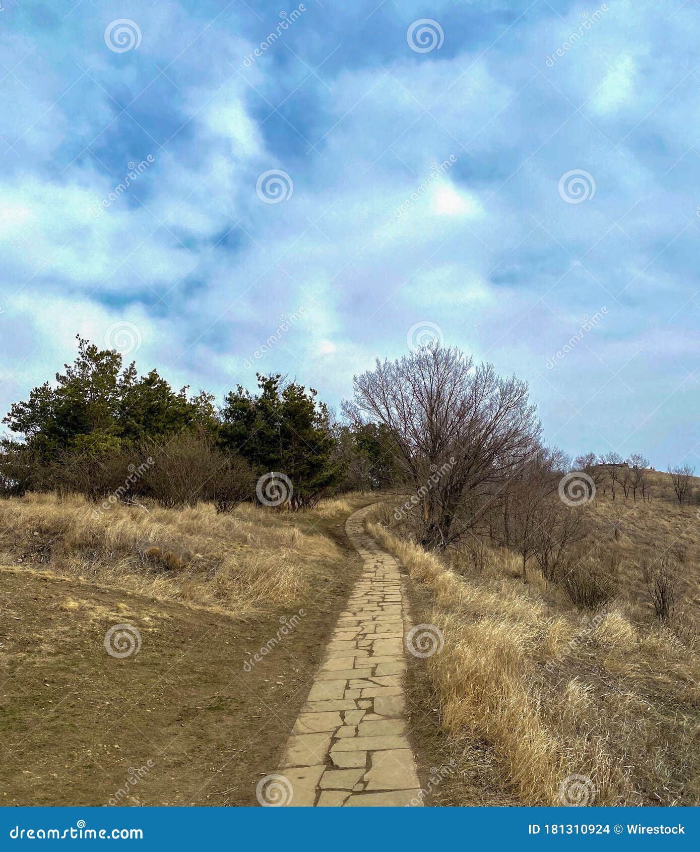 Narrow Stone Path on a Grassy Field Under a Cloudy Sky Stock Photo ...