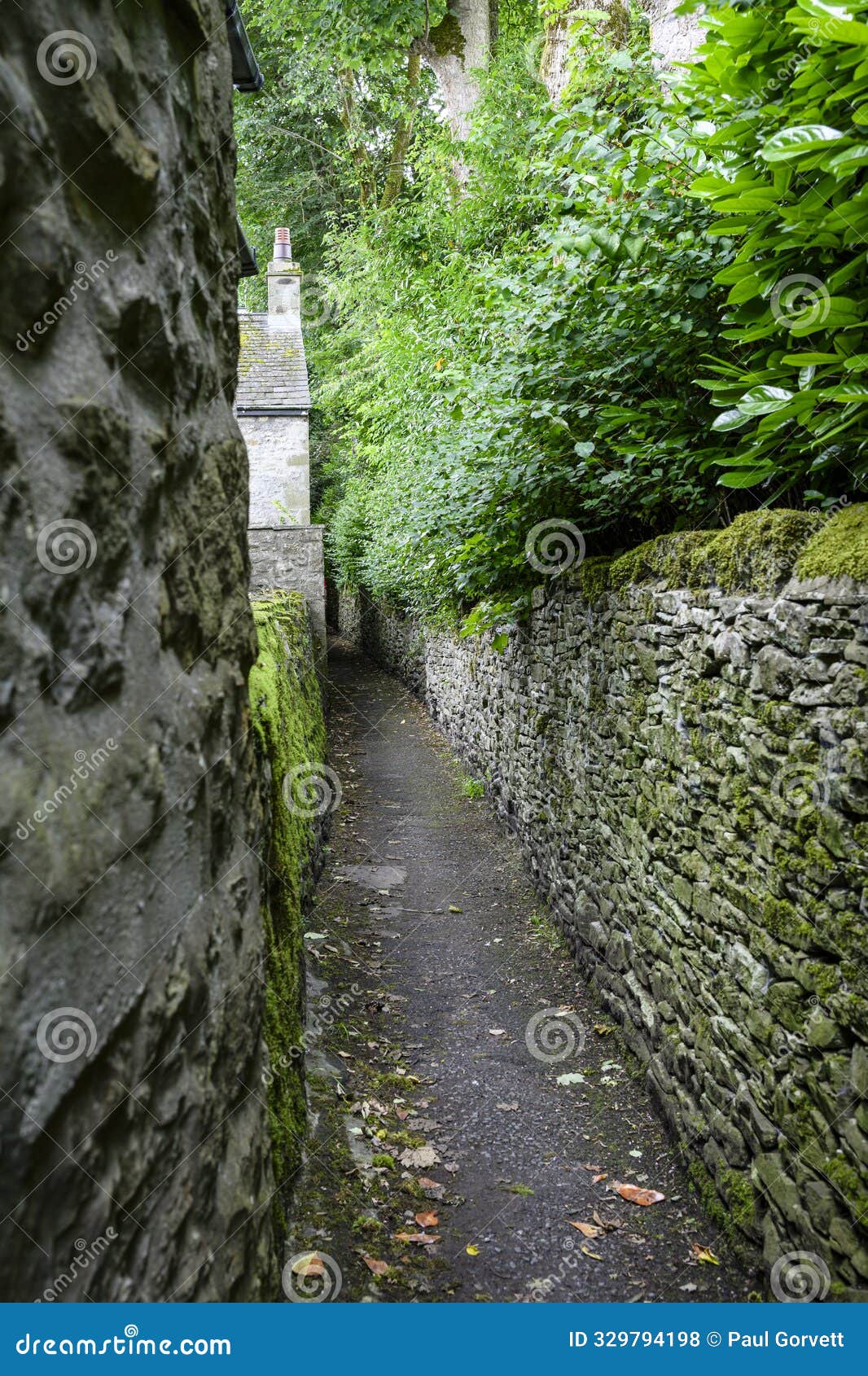 Narrow Stone Pathway Surrounded by Lush Greenery and Old Walls Stock ...