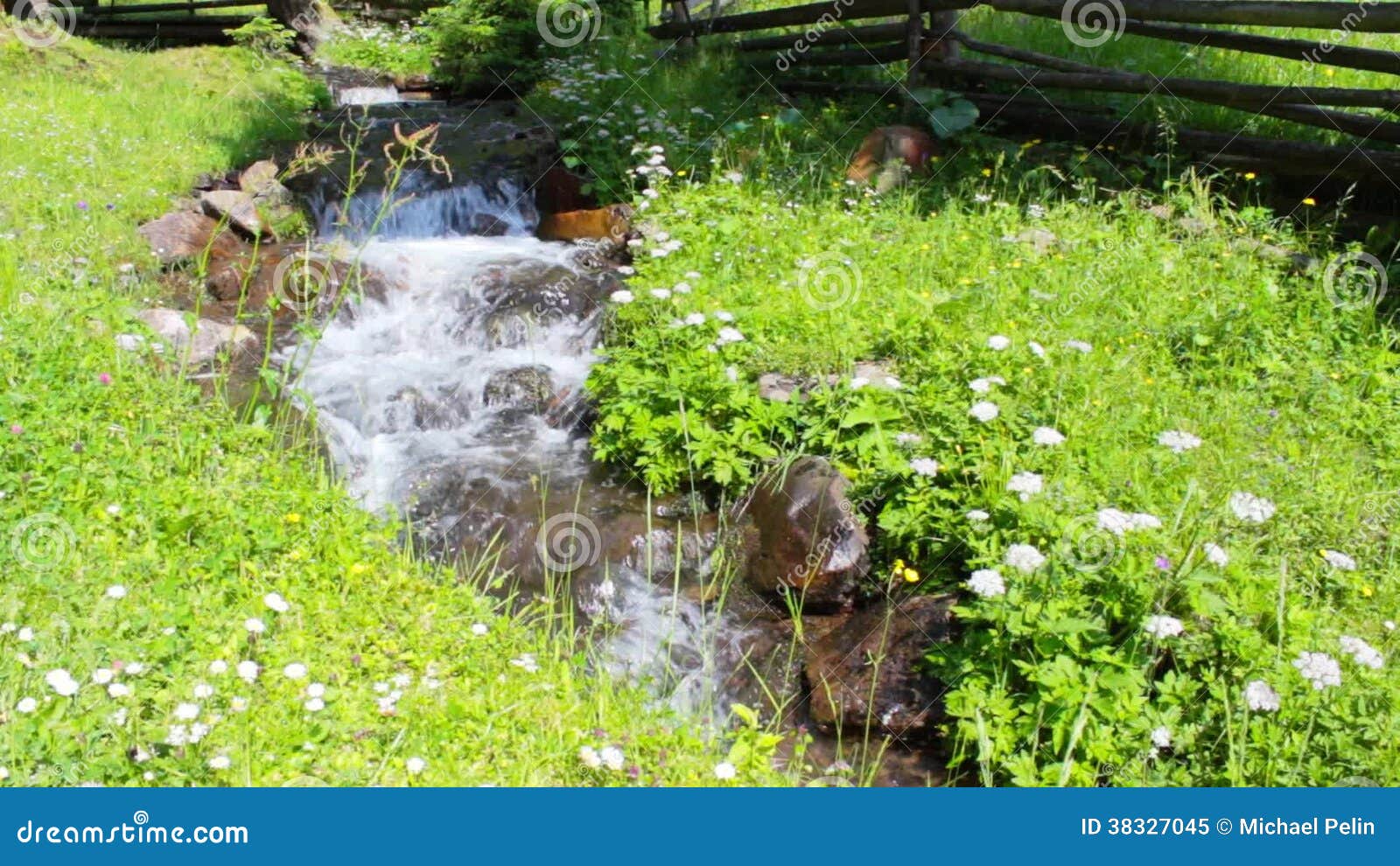 Narrow Stream with Rocks and Grass Stock Video Footage - Video of pour ...