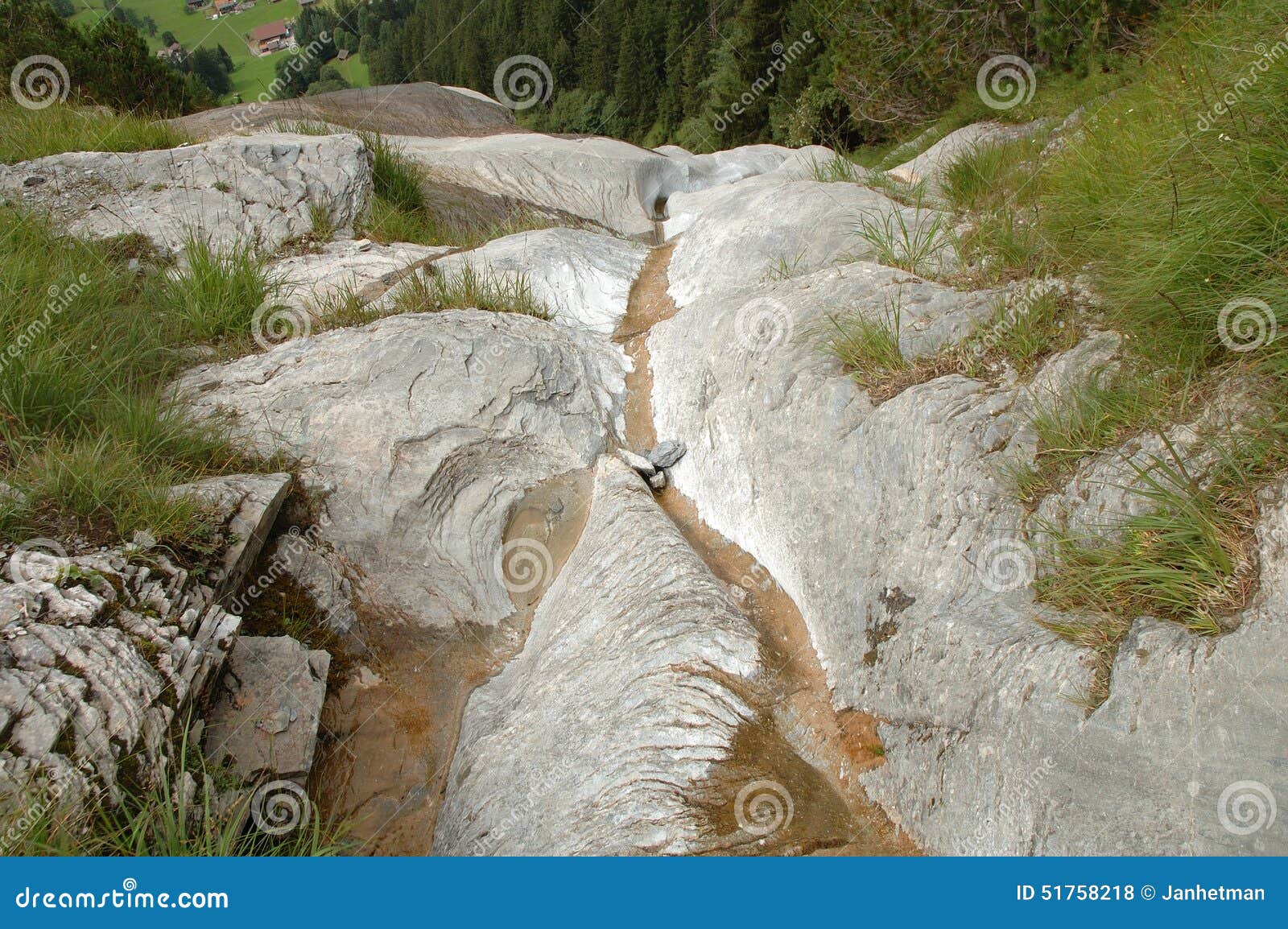 Narrow stream of water stock photo. Image of grass, thin - 51758218