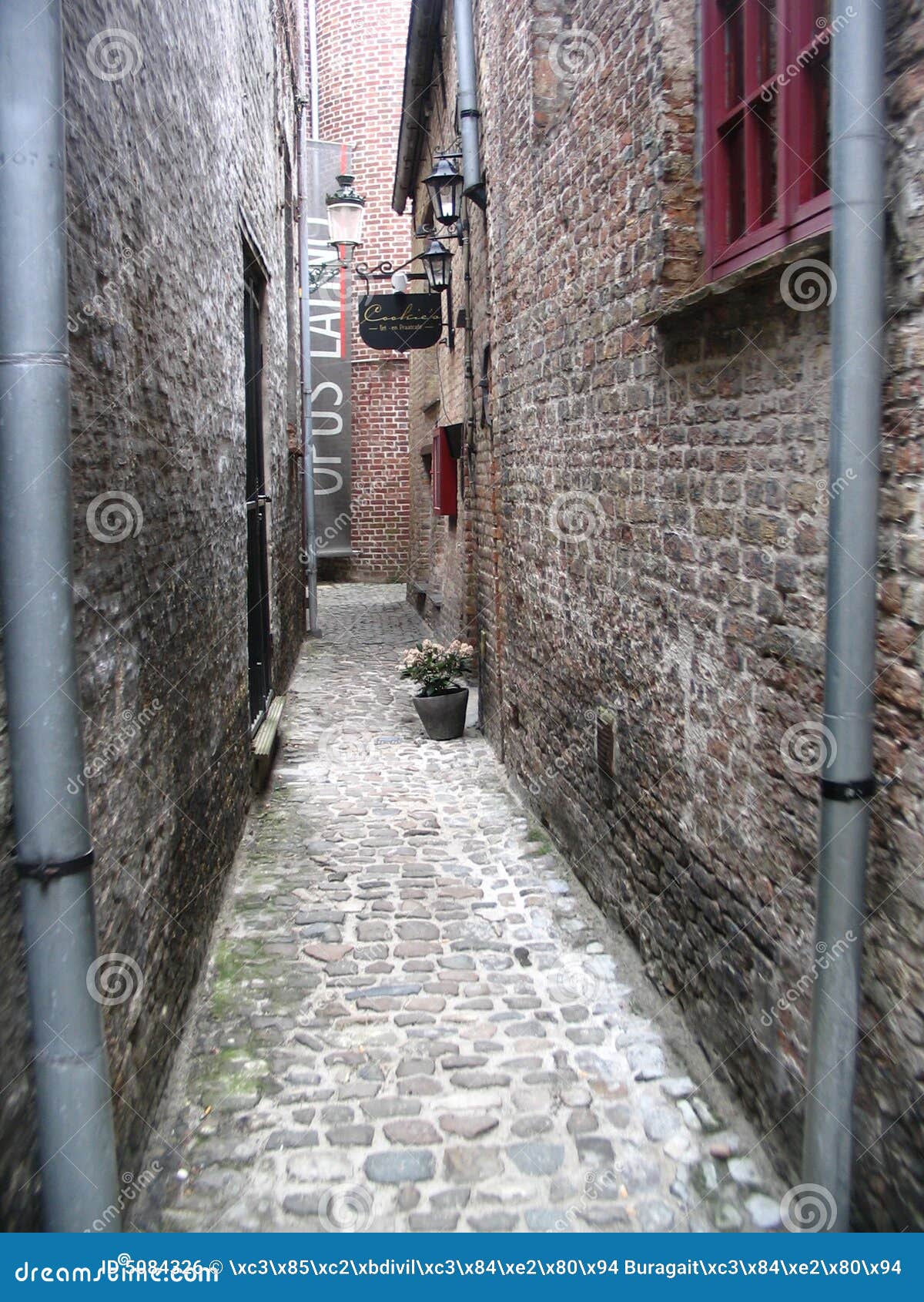 Narrow street stock photo. Image of walls, windows, narrow - 5084326