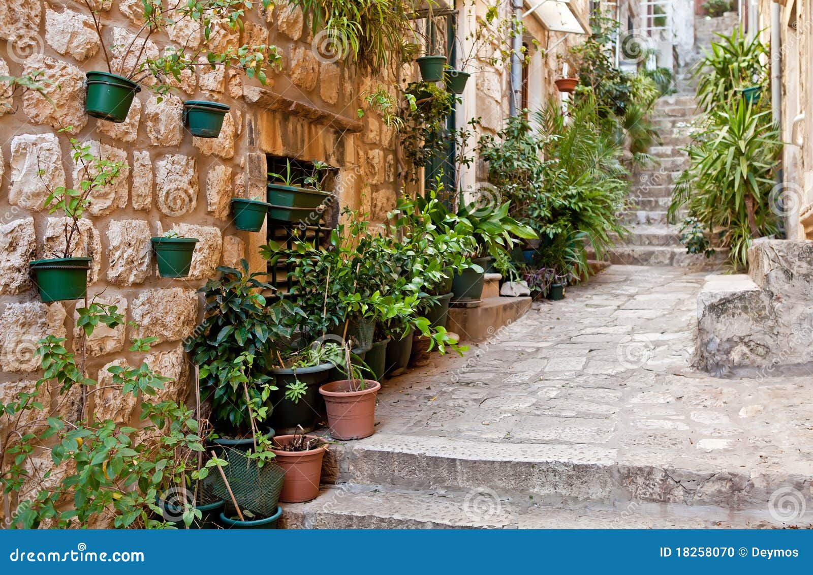 Narrow Street with Greenery in Flower Pots Stock Photo - Image of scene ...