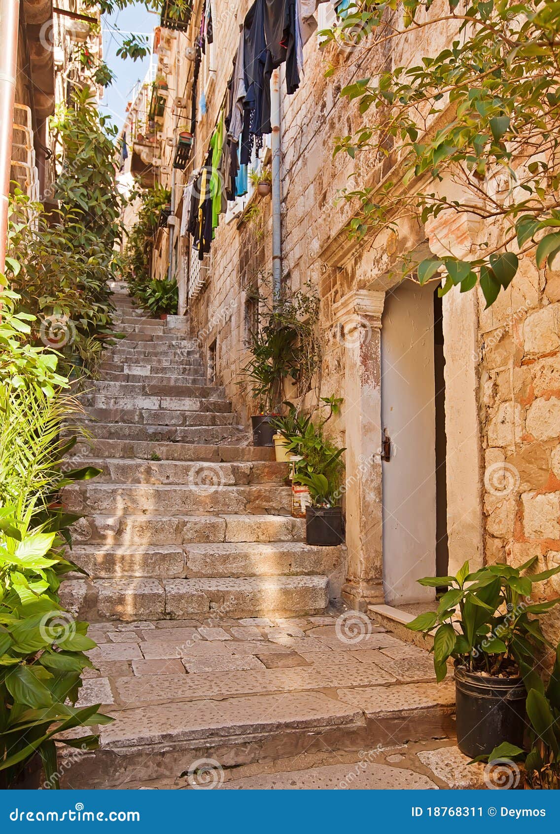 Narrow Street with Greenery in Flower Pots Stock Image - Image of floor ...