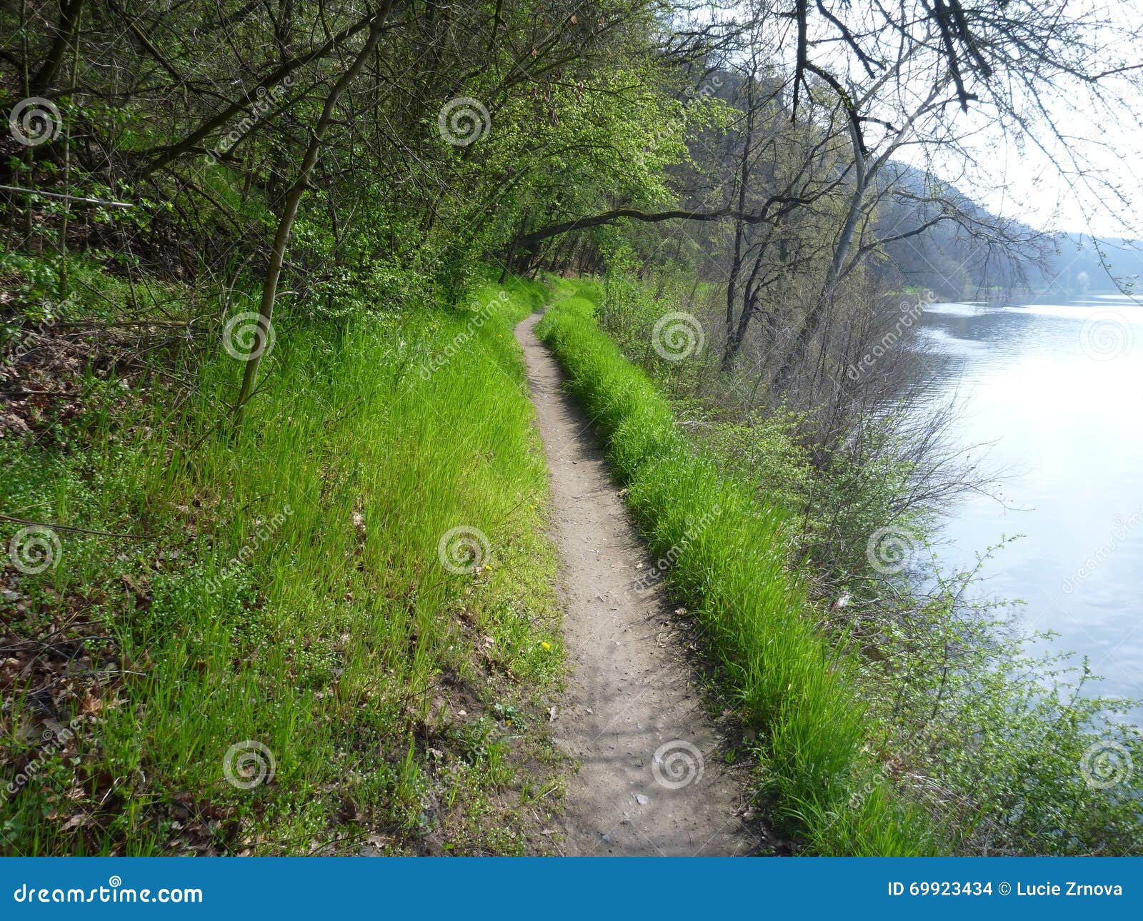 Narrow Trail Along the River Stock Photo - Image of summer, amazing ...