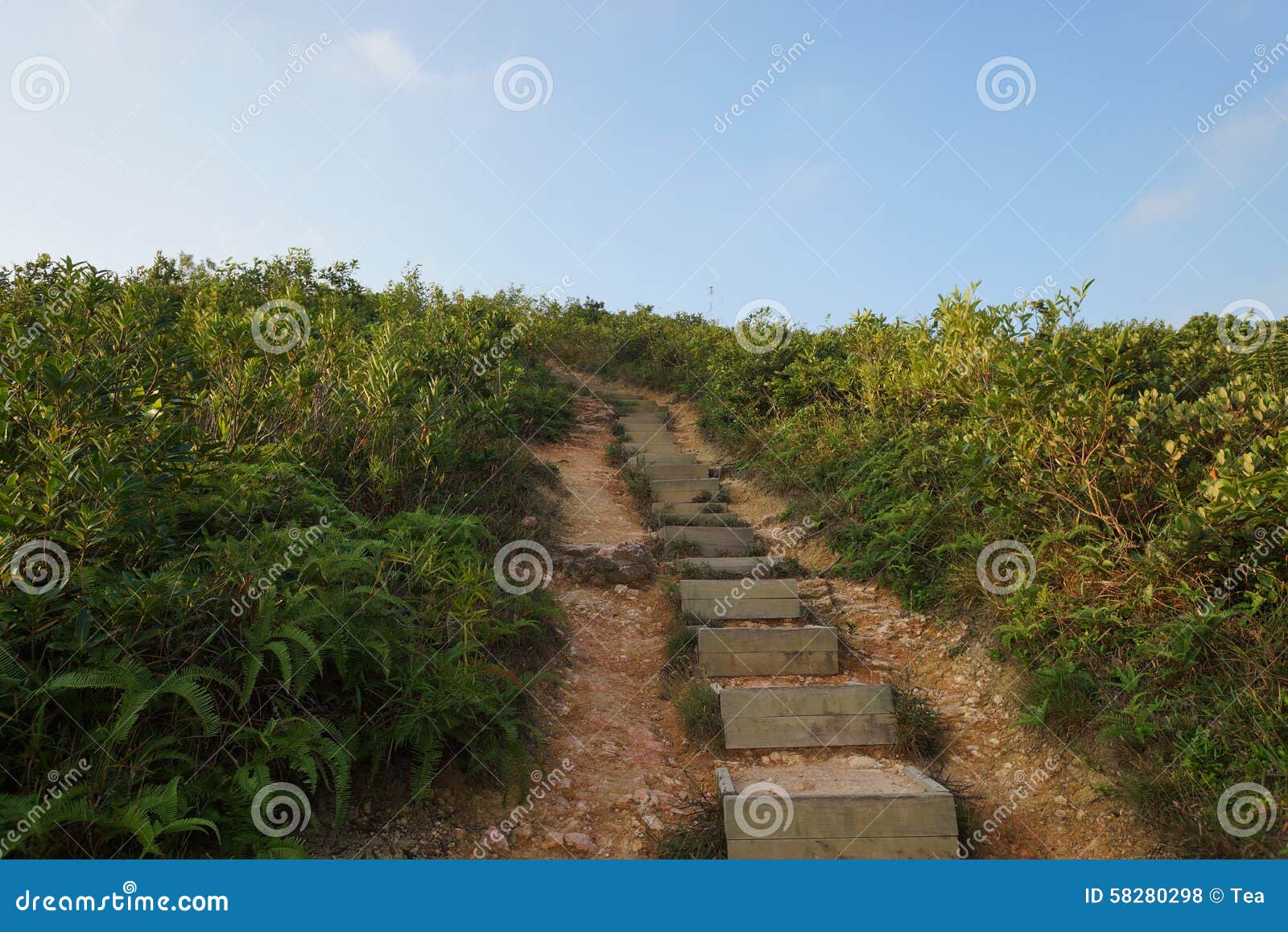 Narrow trail stock photo. Image of natural, mountains - 58280298