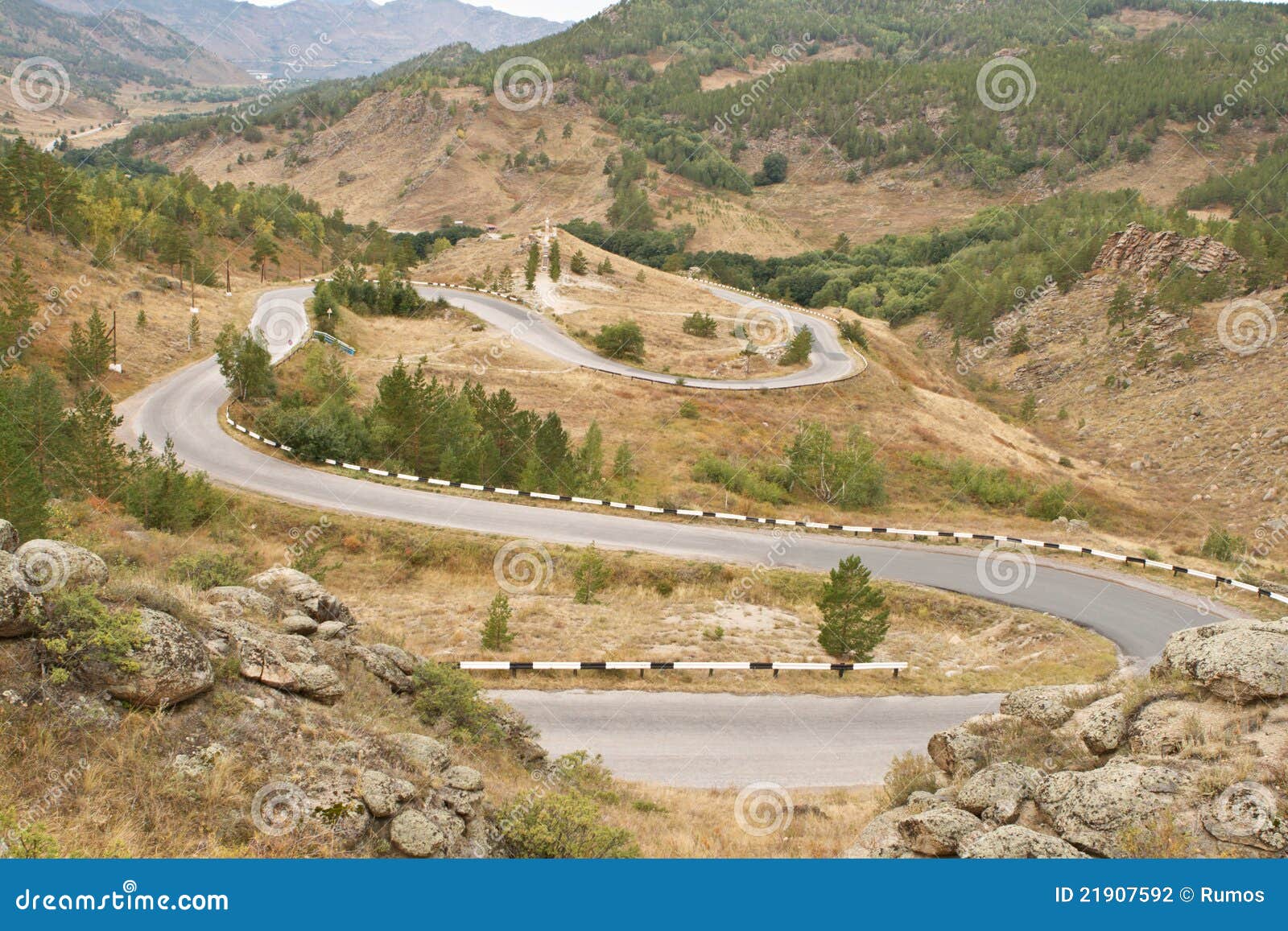 Narrow twisting road stock photo. Image of forest, nature - 21907592