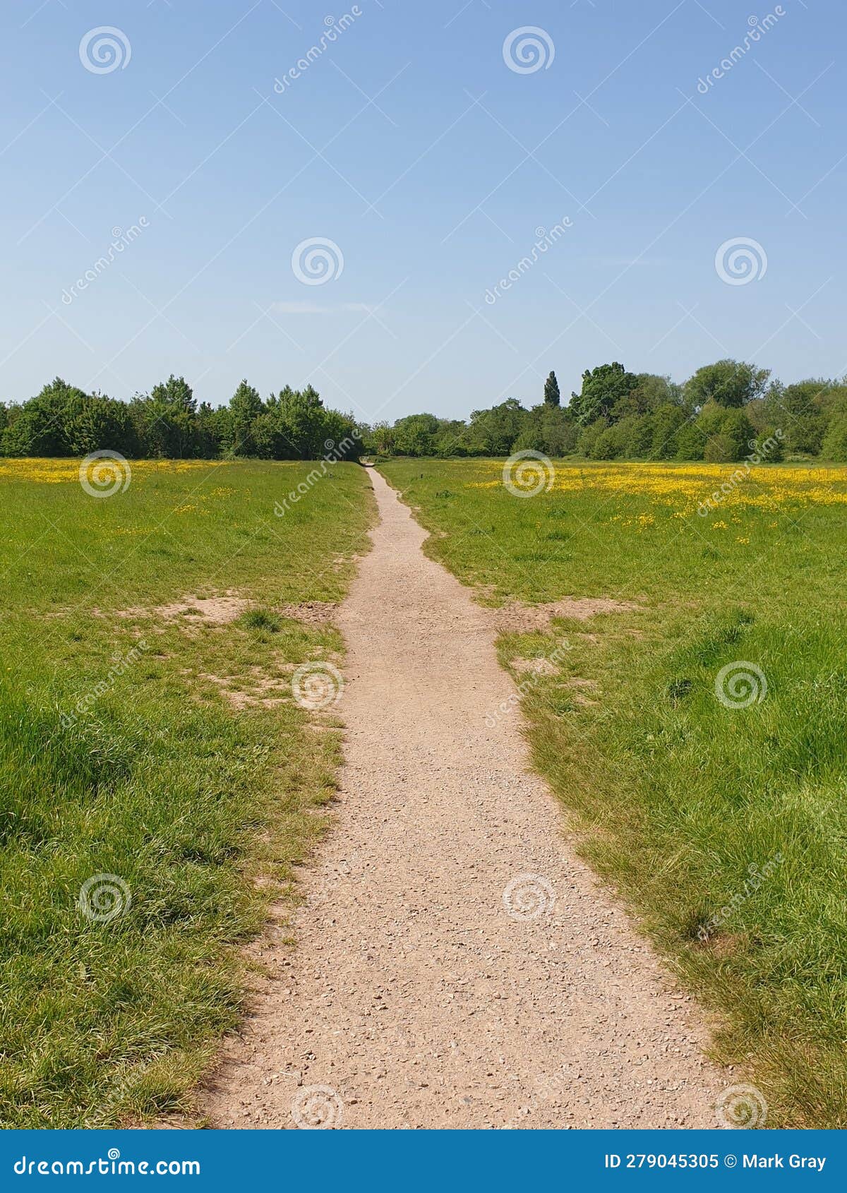 A Narrow Walk through the Meadow Stock Image - Image of farm, narrow ...