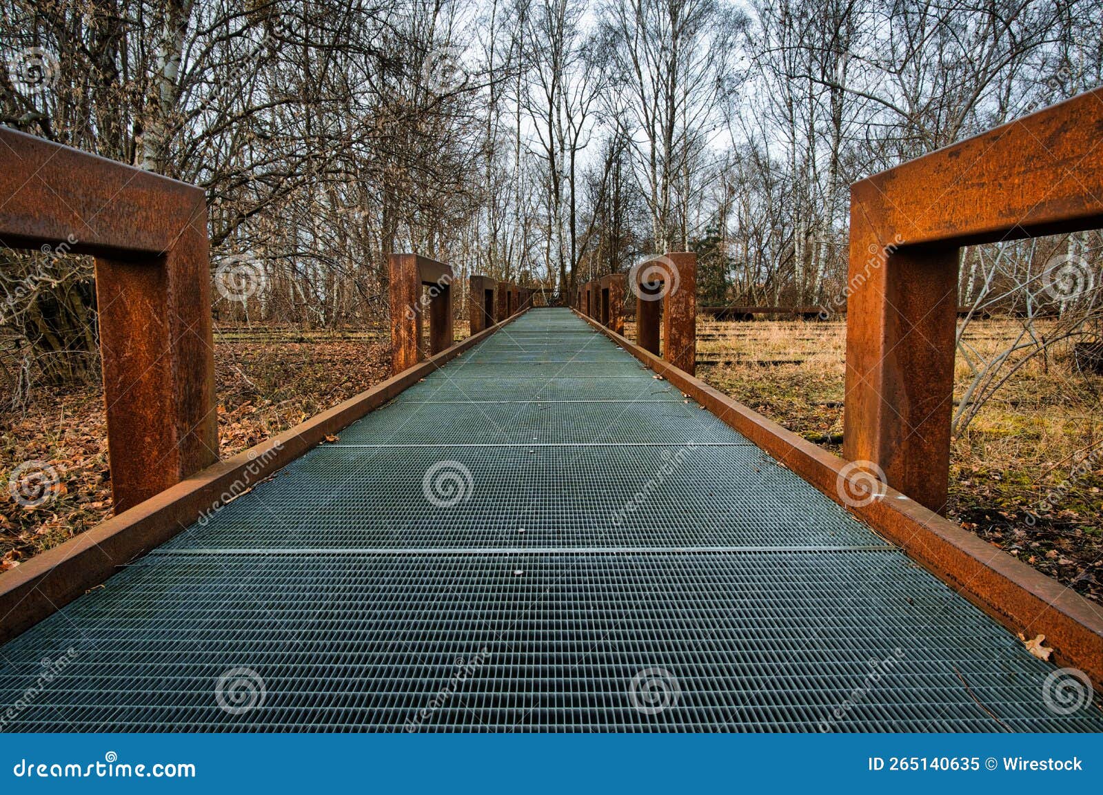 Narrow Walking Side and Bridge between the Deciduous Trees Stock Image ...
