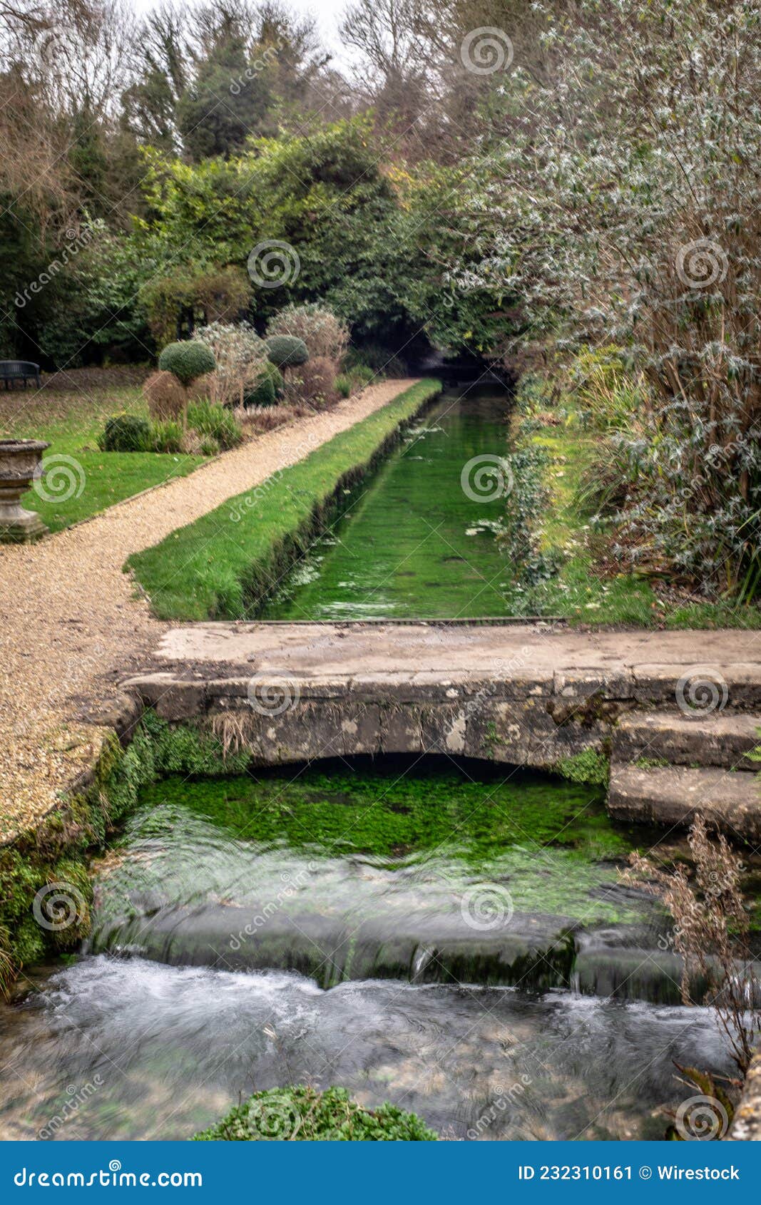 Narrow Water Passage in the Garden Stock Image - Image of foliage ...