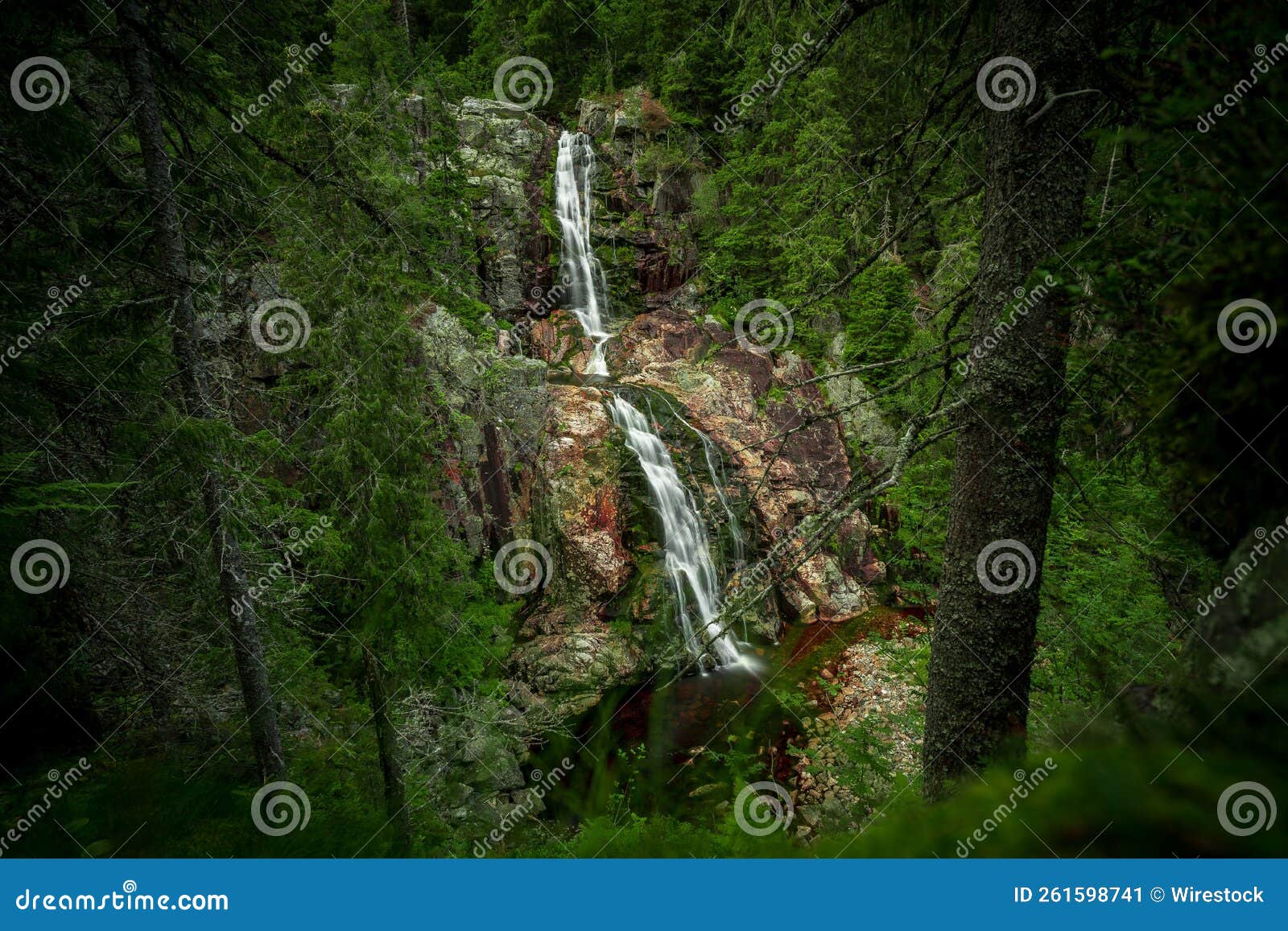 Narrow Waterfall Flowing Down a Steep Rock in Lush Green Forest Stock ...
