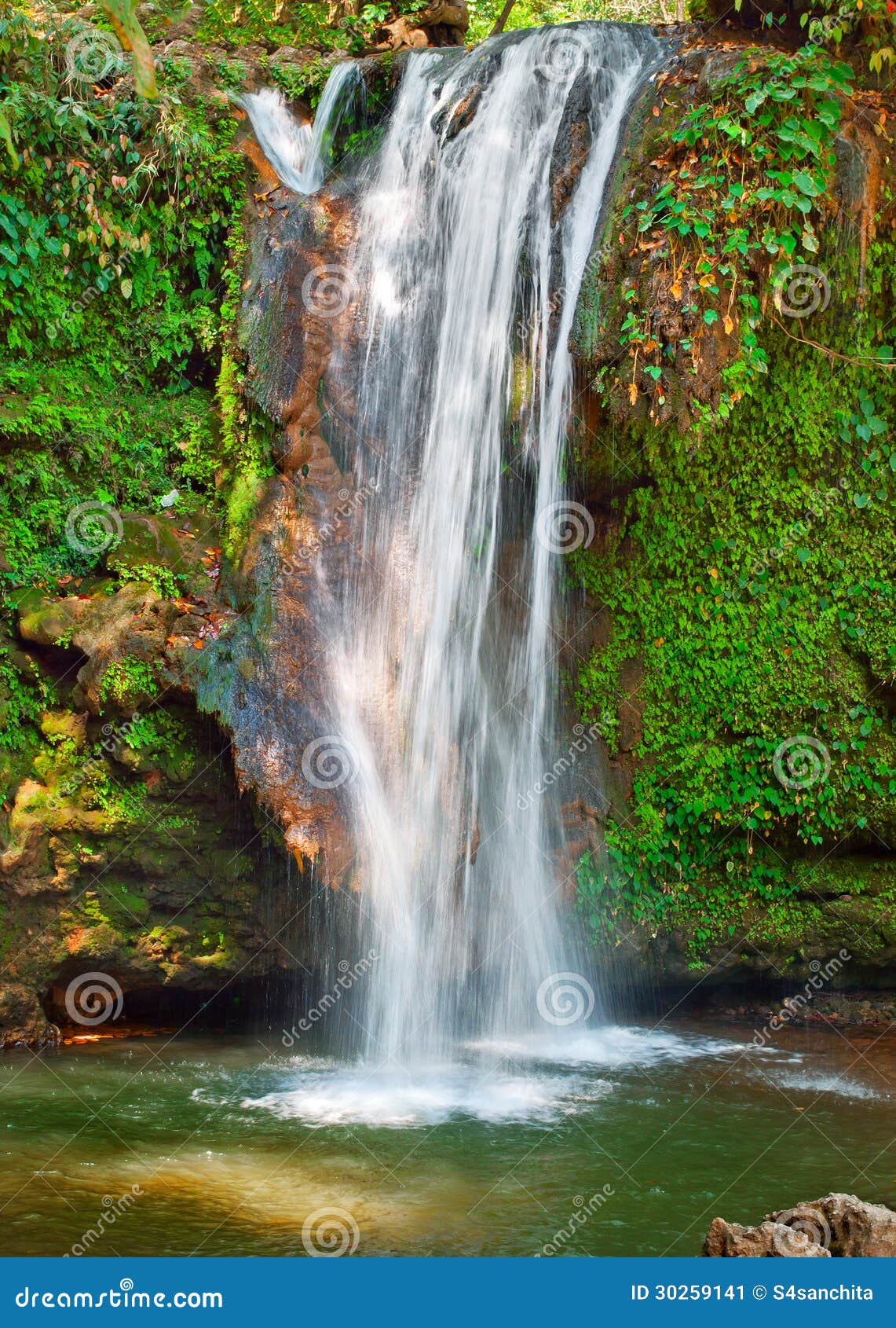 Narrow waterfall stock image. Image of flow, woodland - 30259141