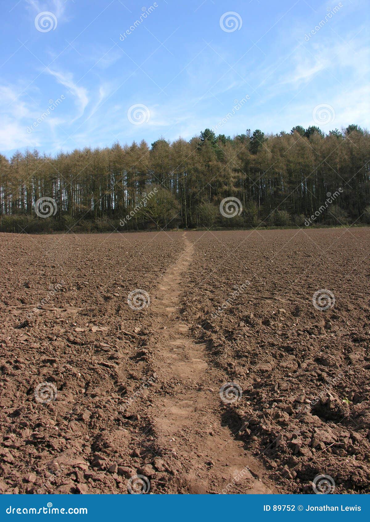 The narrow Way stock photo. Image of field, footprint, brown - 89752