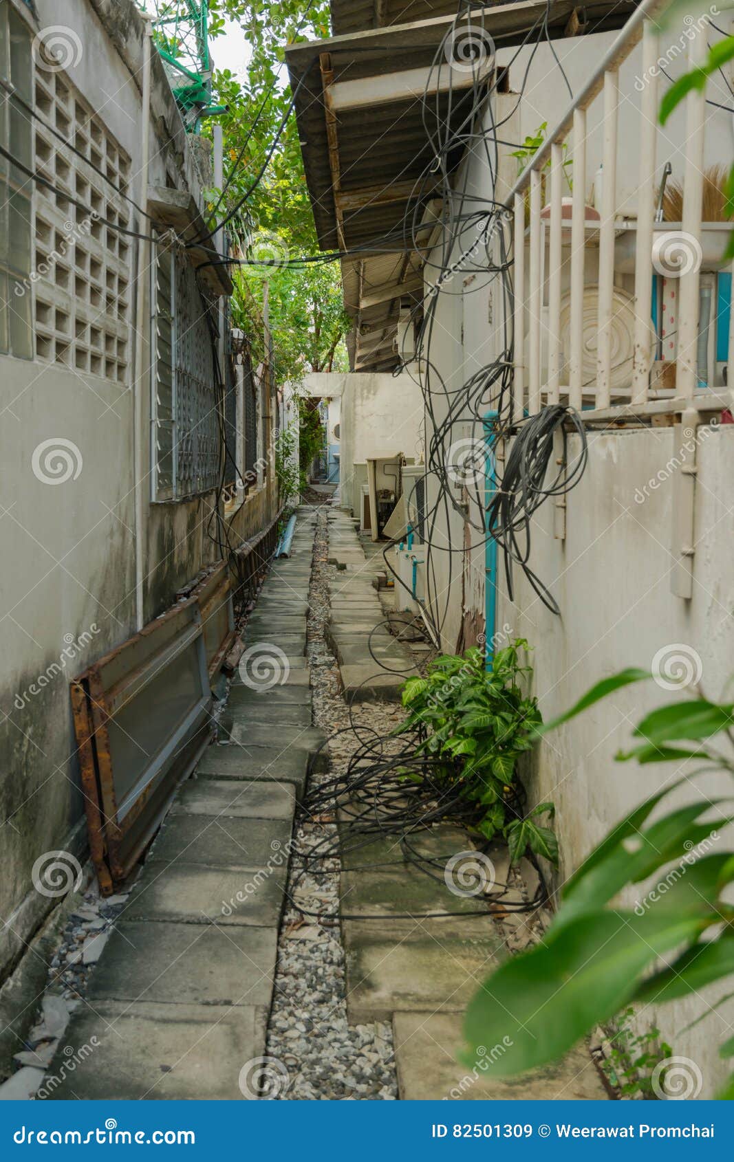 Royalty Free Images, Cartoons, Illustrations And Photos Designed By ...