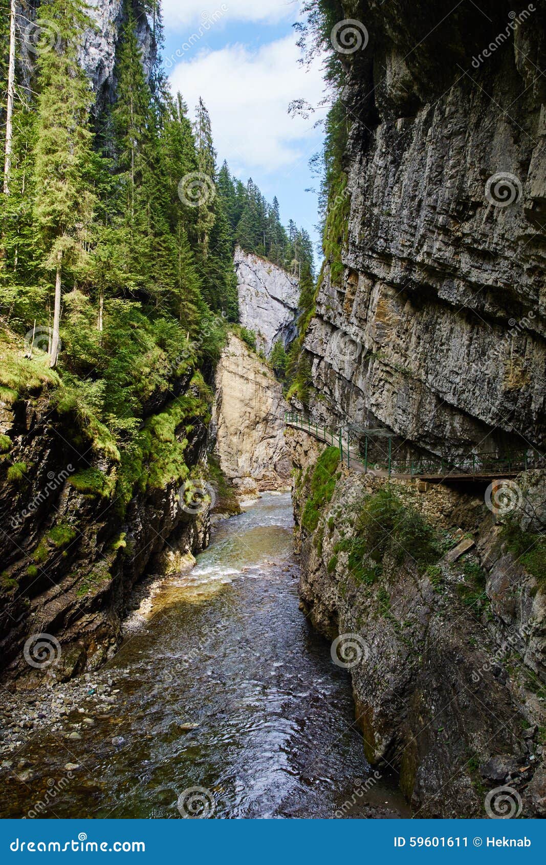 Narrow Web on the Edge of the Breitach Gorge Stock Image - Image of ...