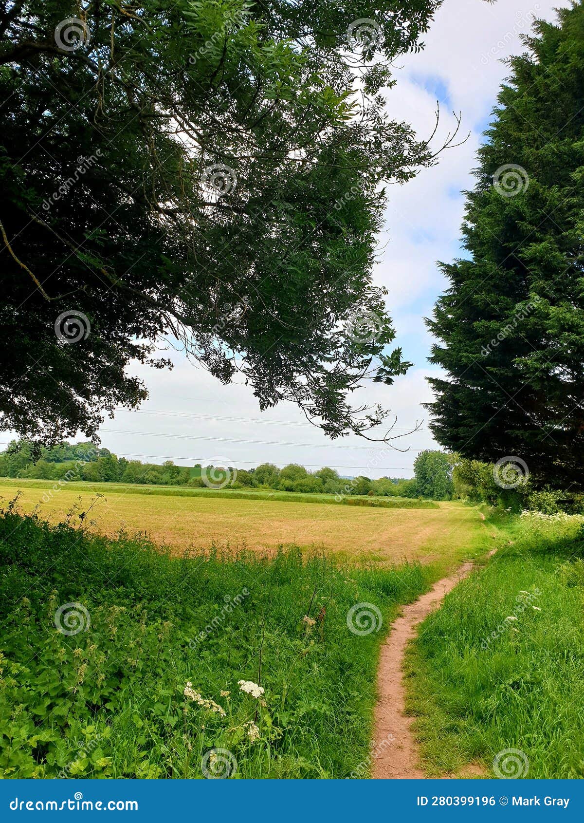 The Narrow Winding Countryside Path in Summertime Stock Photo - Image ...