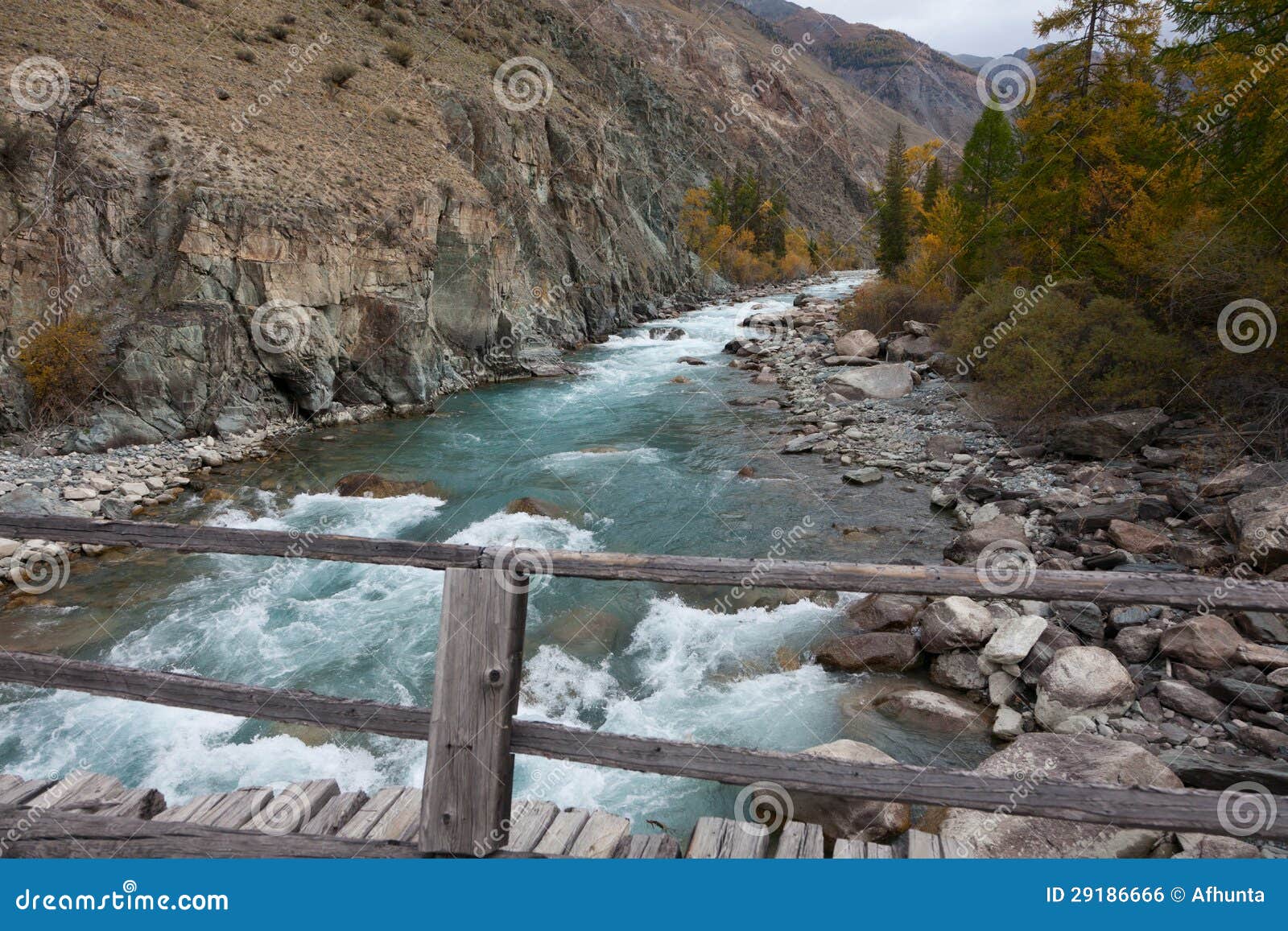 A narrow wooden bridge stock photo. Image of narrow, outdoors - 29186666