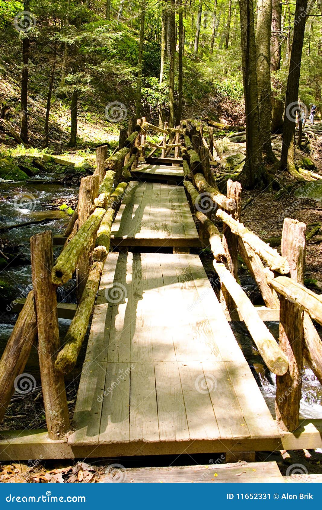 Narrow Wooden Bridge in the Park Stock Image - Image of nature ...