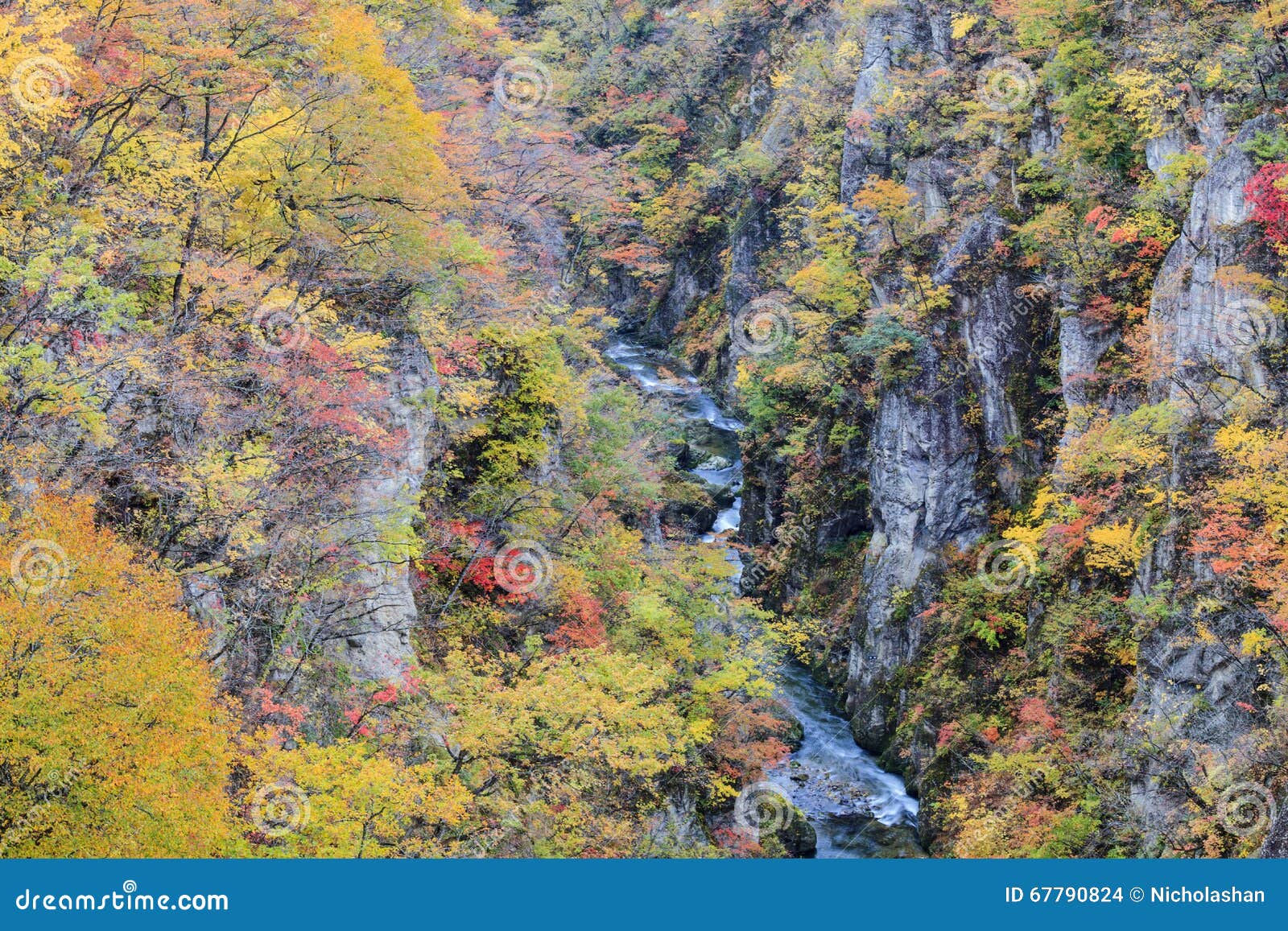 Naruko Gorge Autumn Leaves in the Fall Season, Japan Stock Photo ...