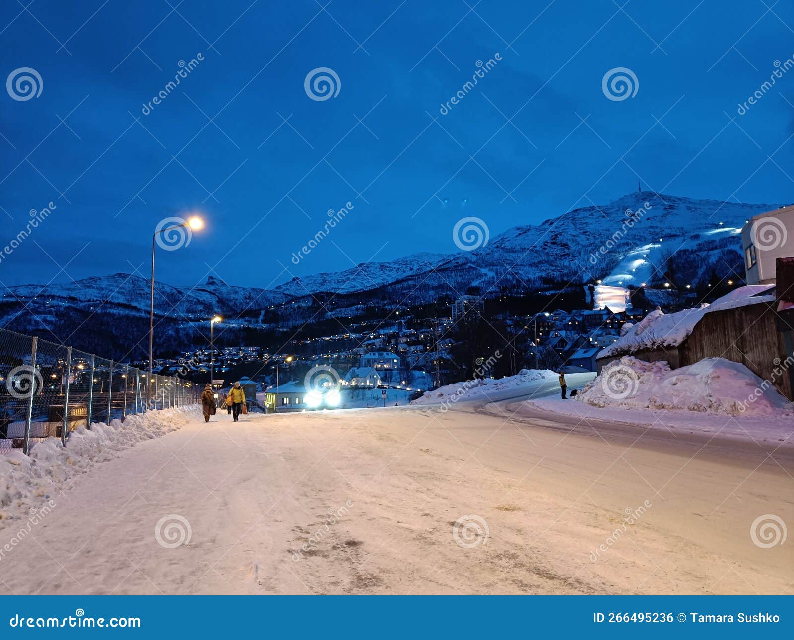 Narvik, Town in Norway in the Night Stock Photo - Image of tree ...