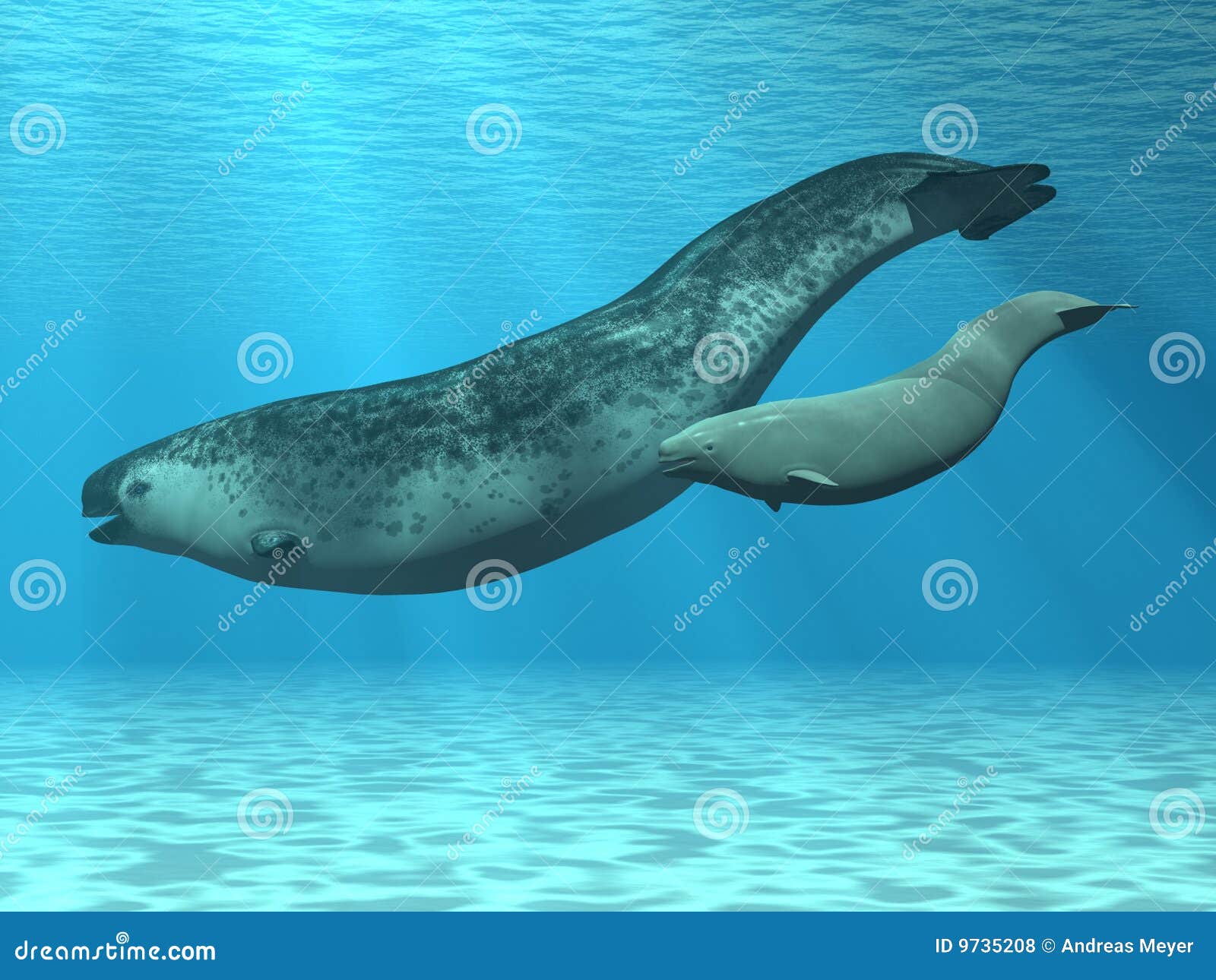 Narwal stock illustratie. Illustration of fauna, nathalie - 9735208