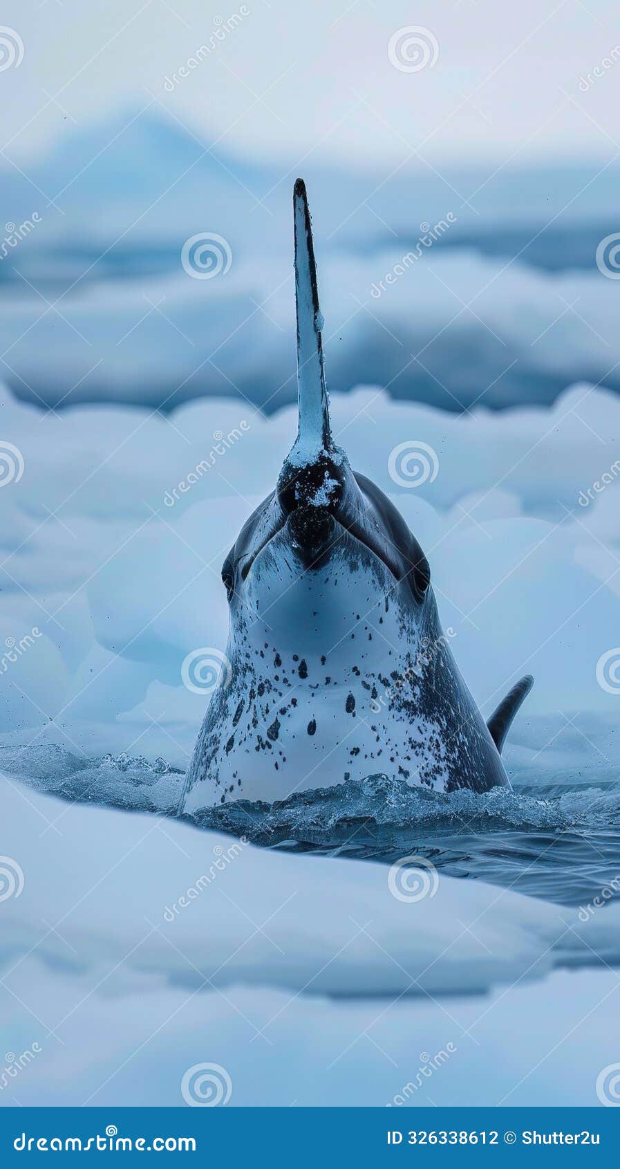 A Narwhal with a Neon Blue Sonic Horn Breaking through the Arctic Ice ...