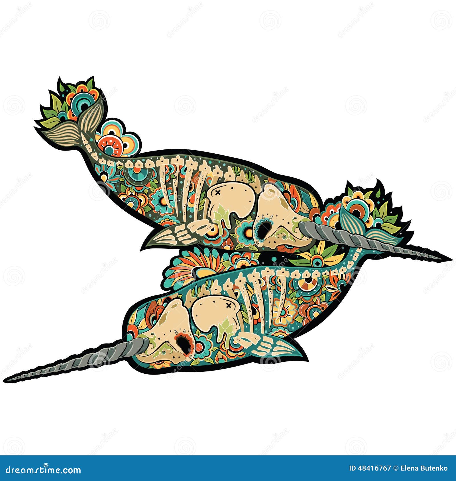 Narwhal Skeleton Diagram Narwhal Drawing Hi Res Stock Photography And