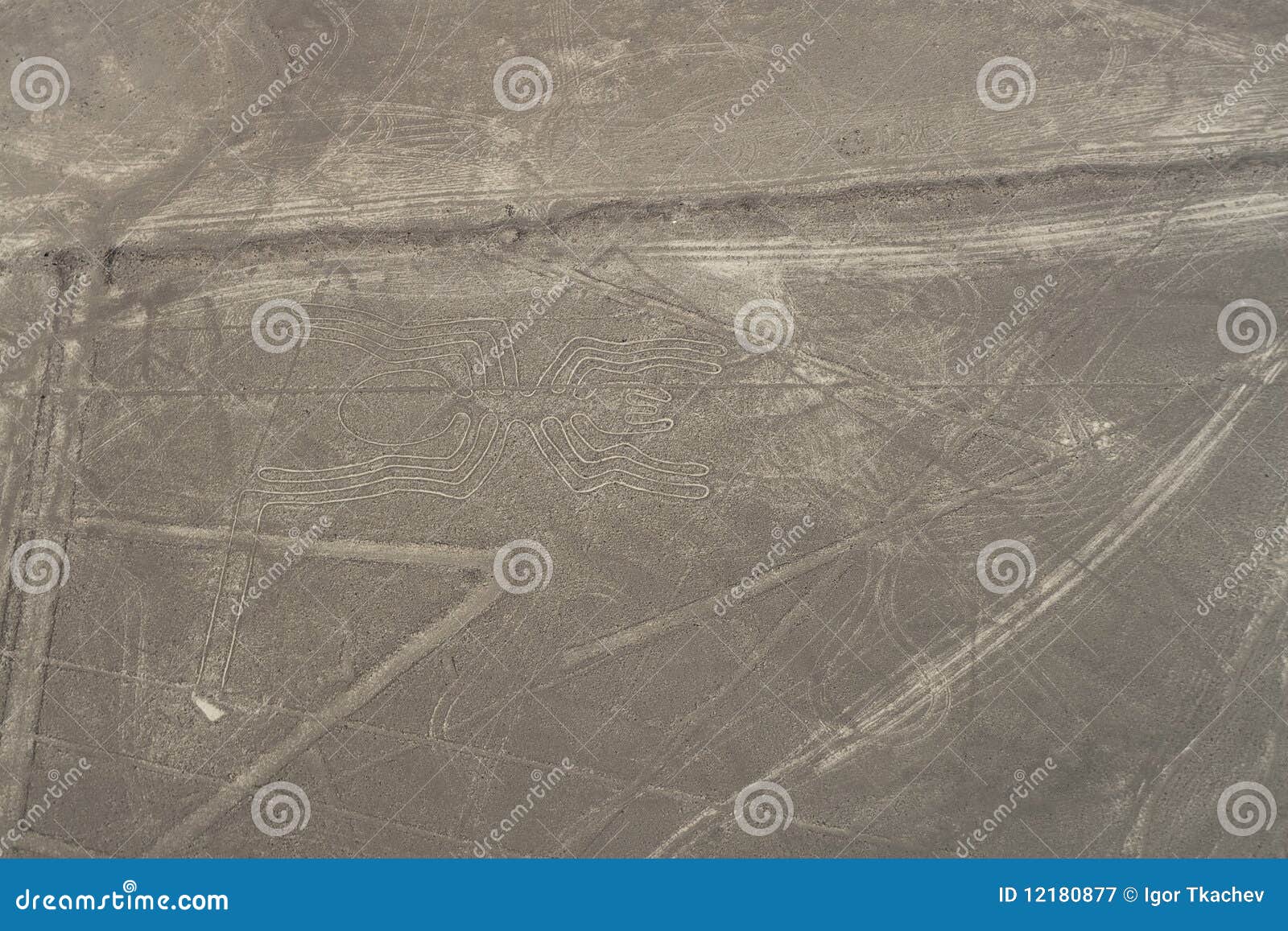 Nasca-ant stock image. Image of ancient, journey, majestic - 12180877