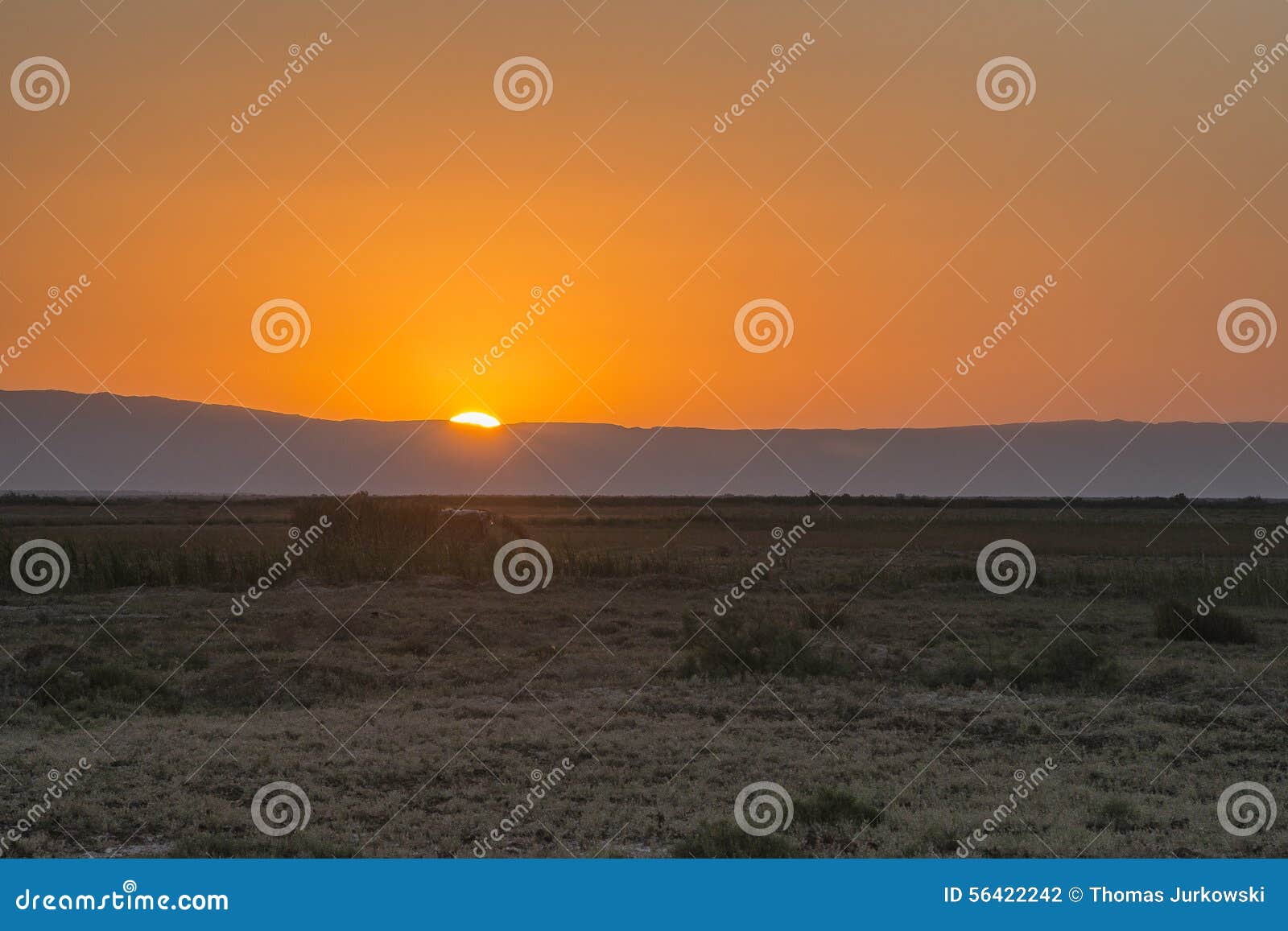Nascer do sol do deserto foto de stock. Imagem de quente - 56422242